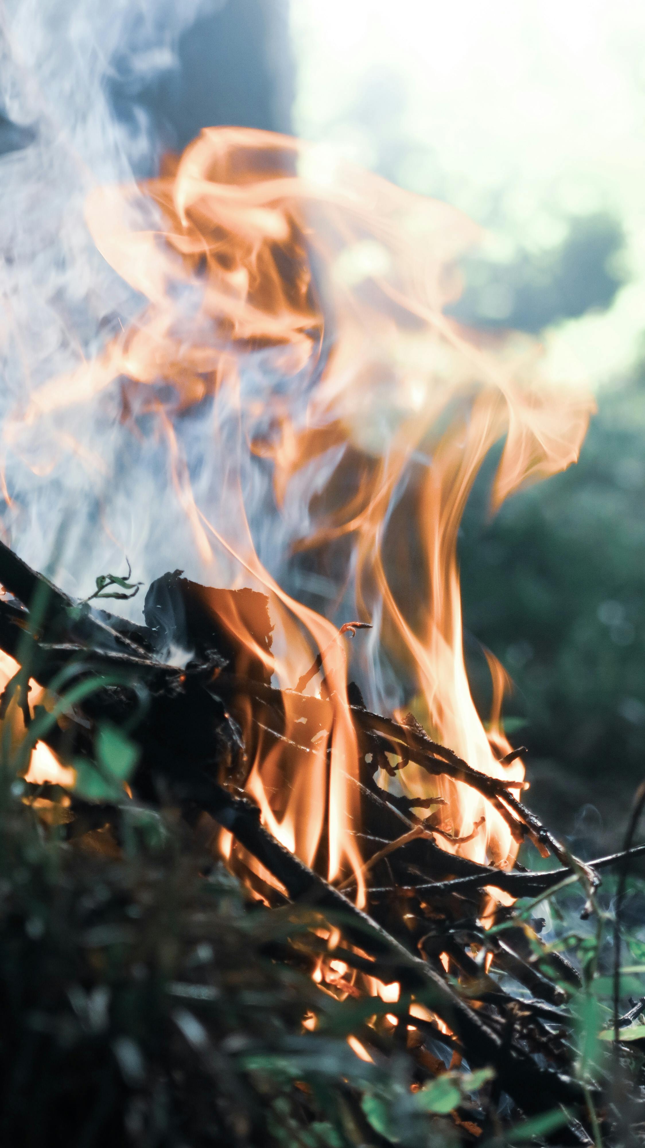 Close Up Shot of Burning Leaves · Free Stock Photo