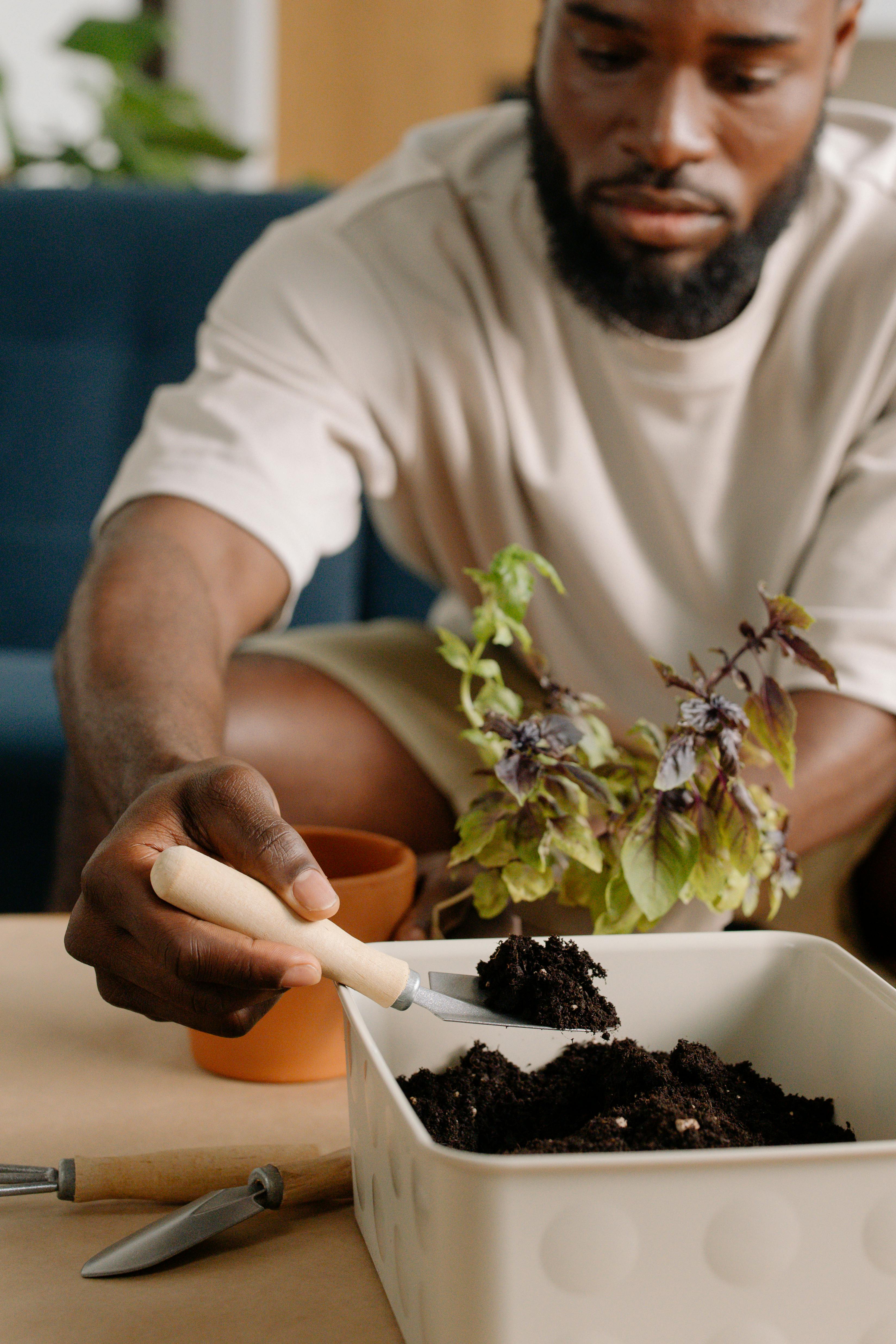 Person Planting a Green Plant on Soil · Free Stock Photo