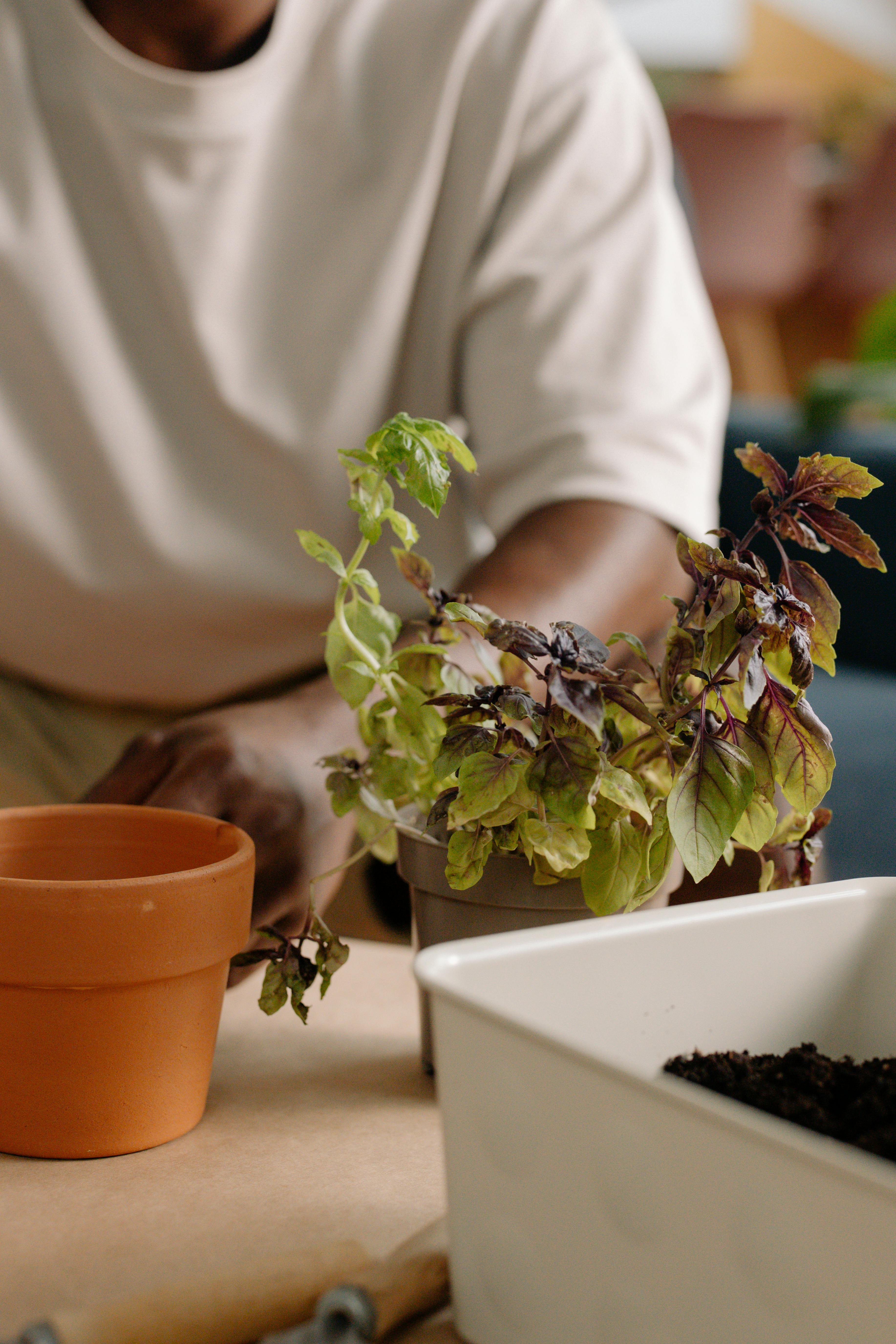 Soil Cup Photos, Download The BEST Free Soil Cup Stock Photos & HD Images