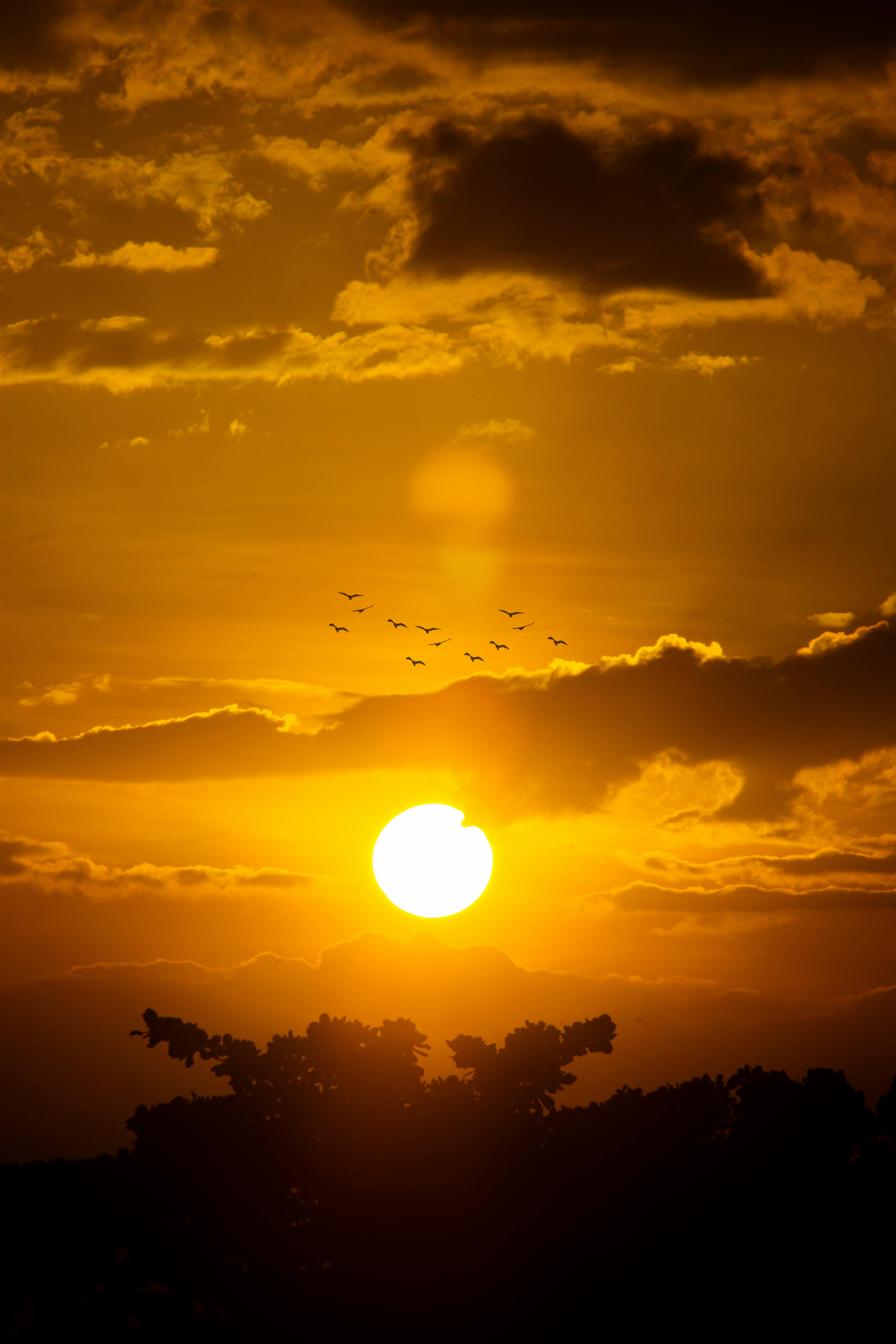 Sunset · Free Stock Photo