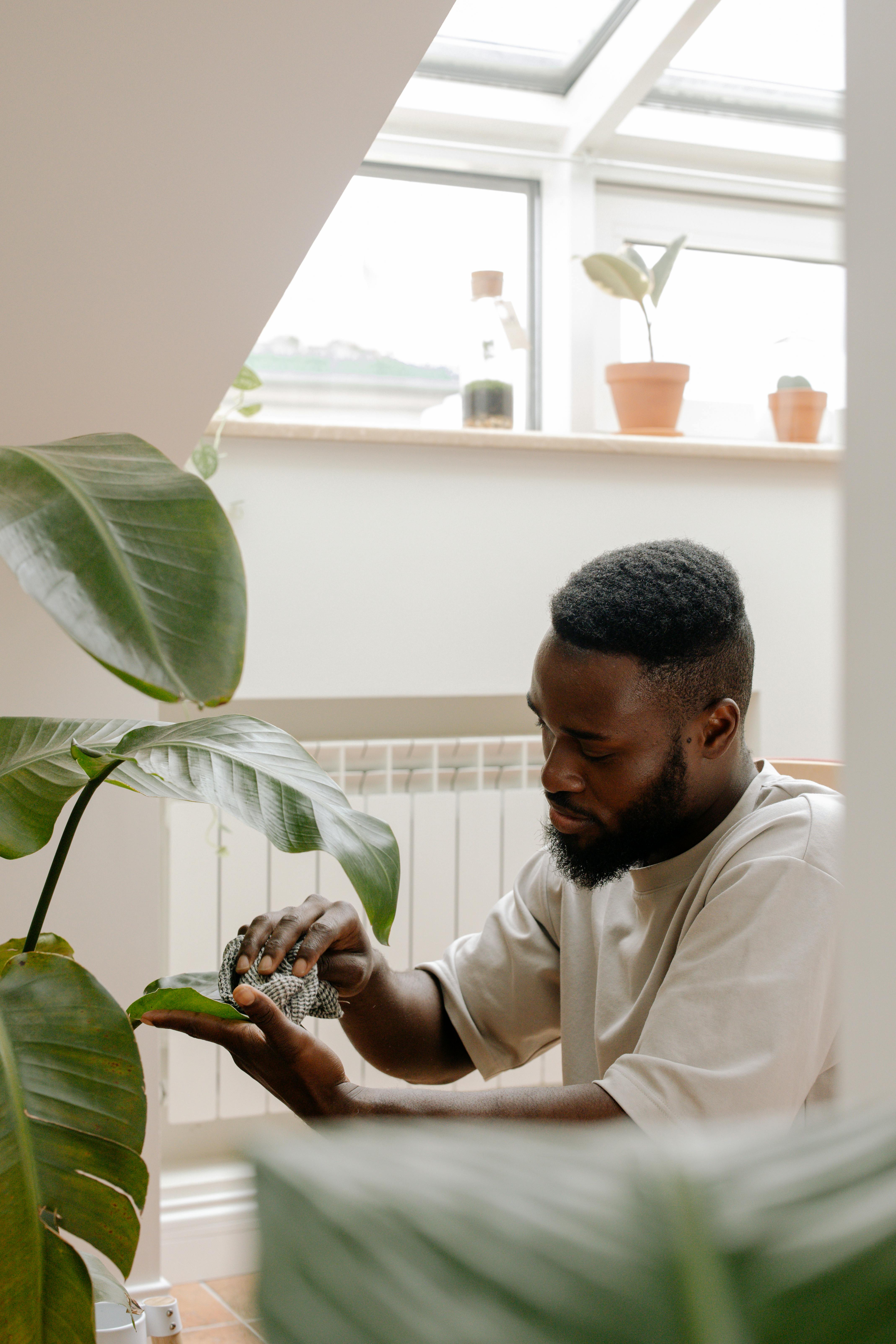 Man Holding Green Leaf · Free Stock Photo