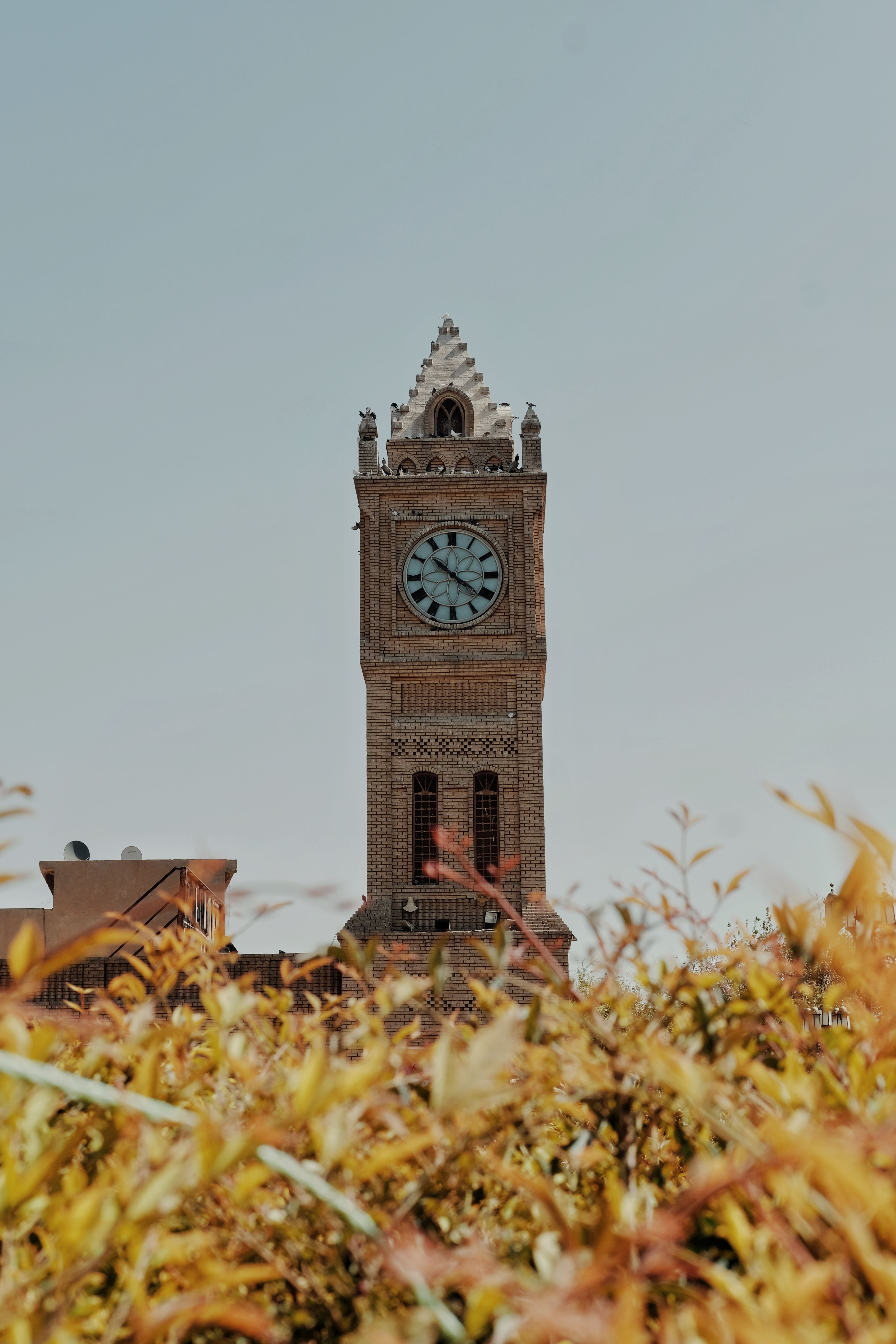 Brown and White Clock Tower · Free Stock Photo