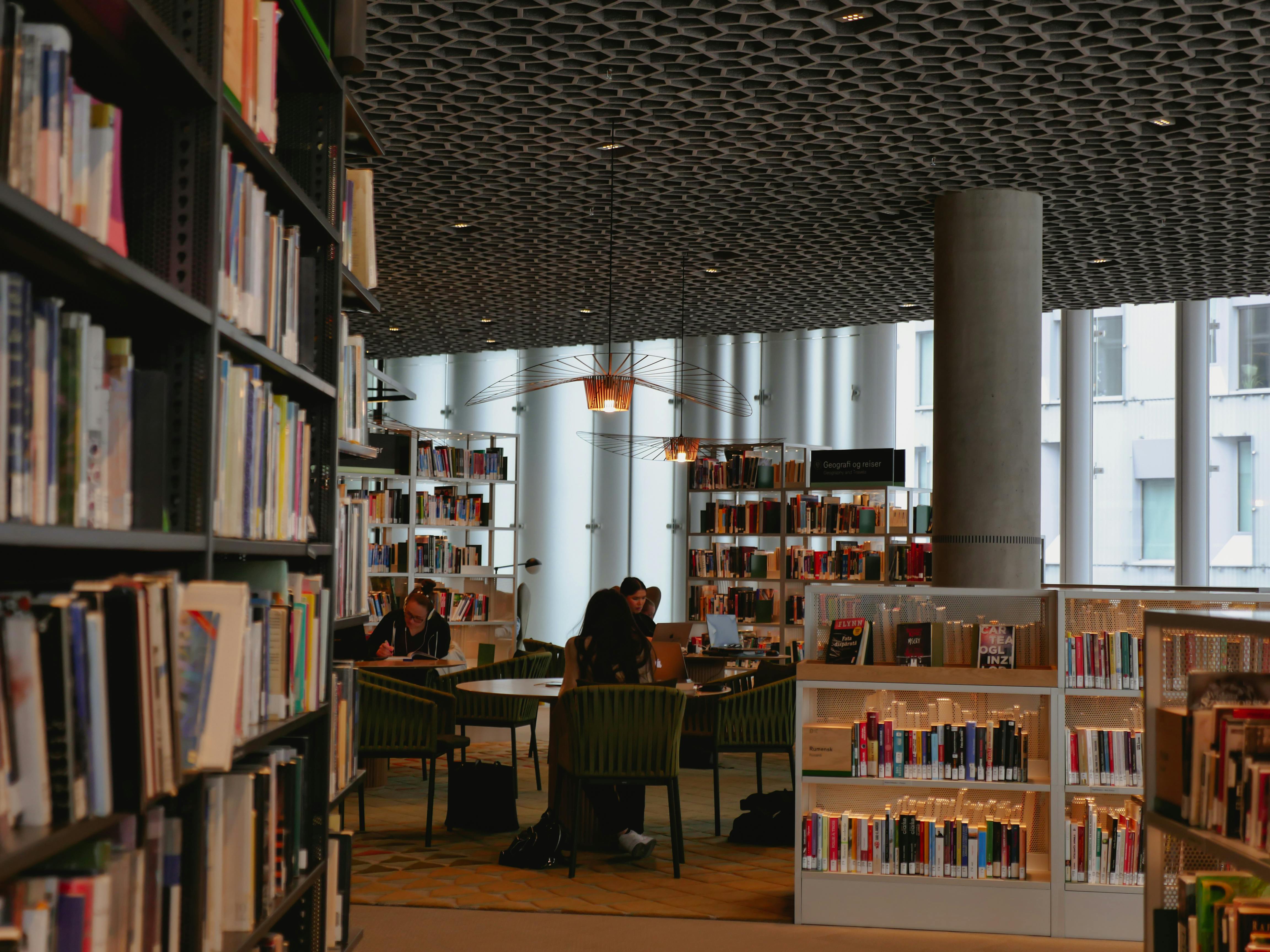 People Sitting in a Library · Free Stock Photo
