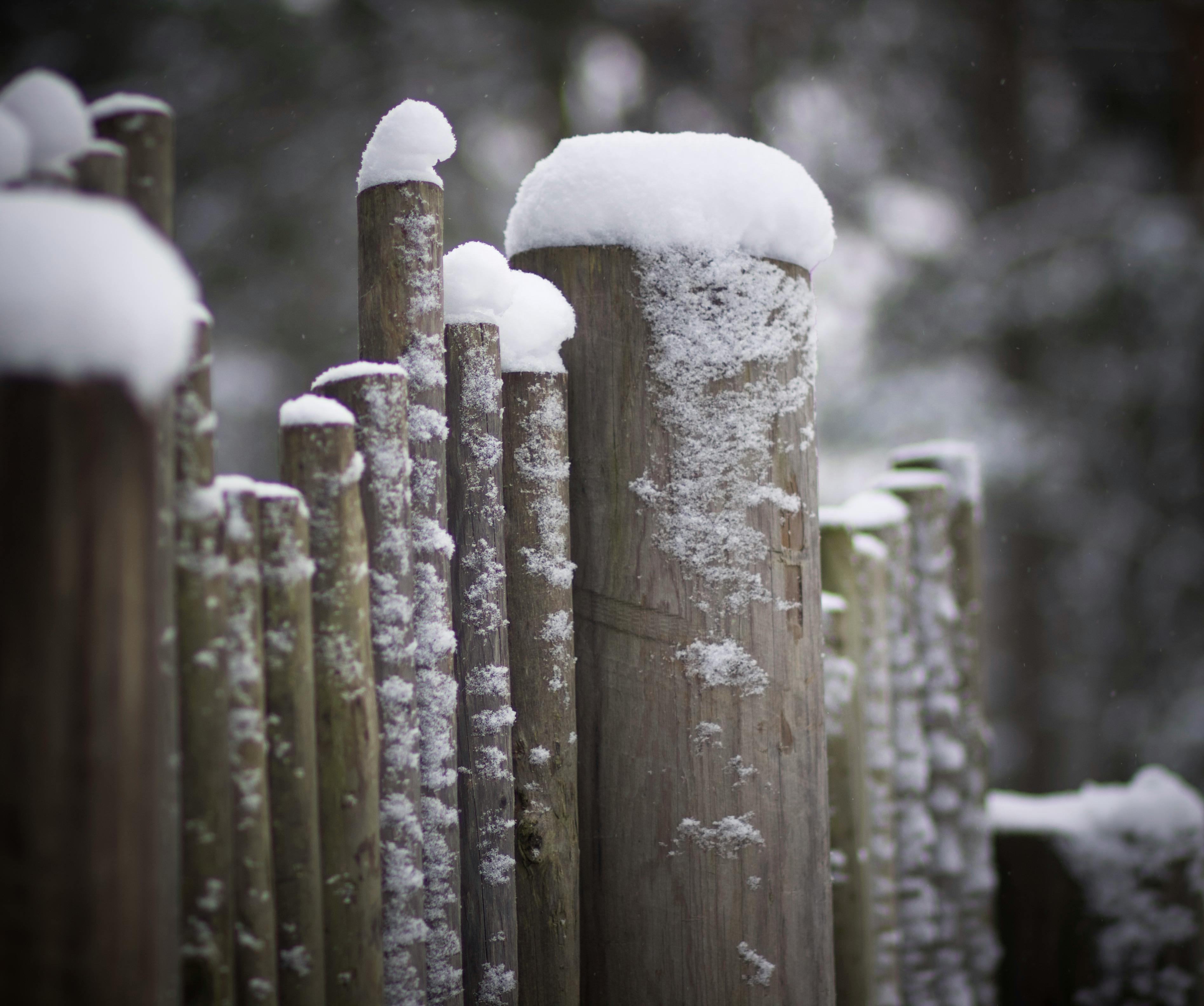 Close-Up Photo of Wooden Fence Covered with Snow · Free Stock Photo