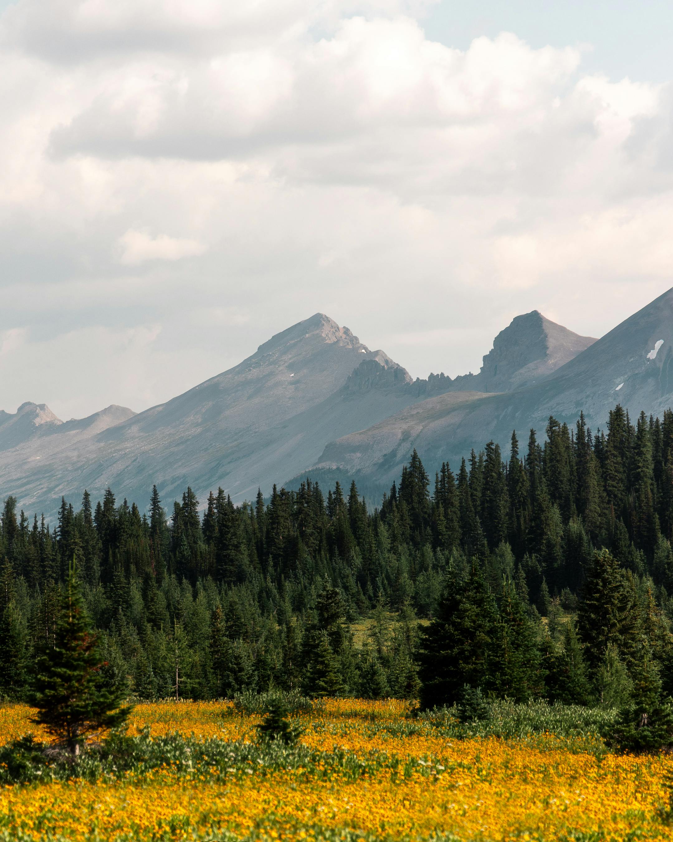 Green Trees and Mountains Under White Clouds · Free Stock Photo