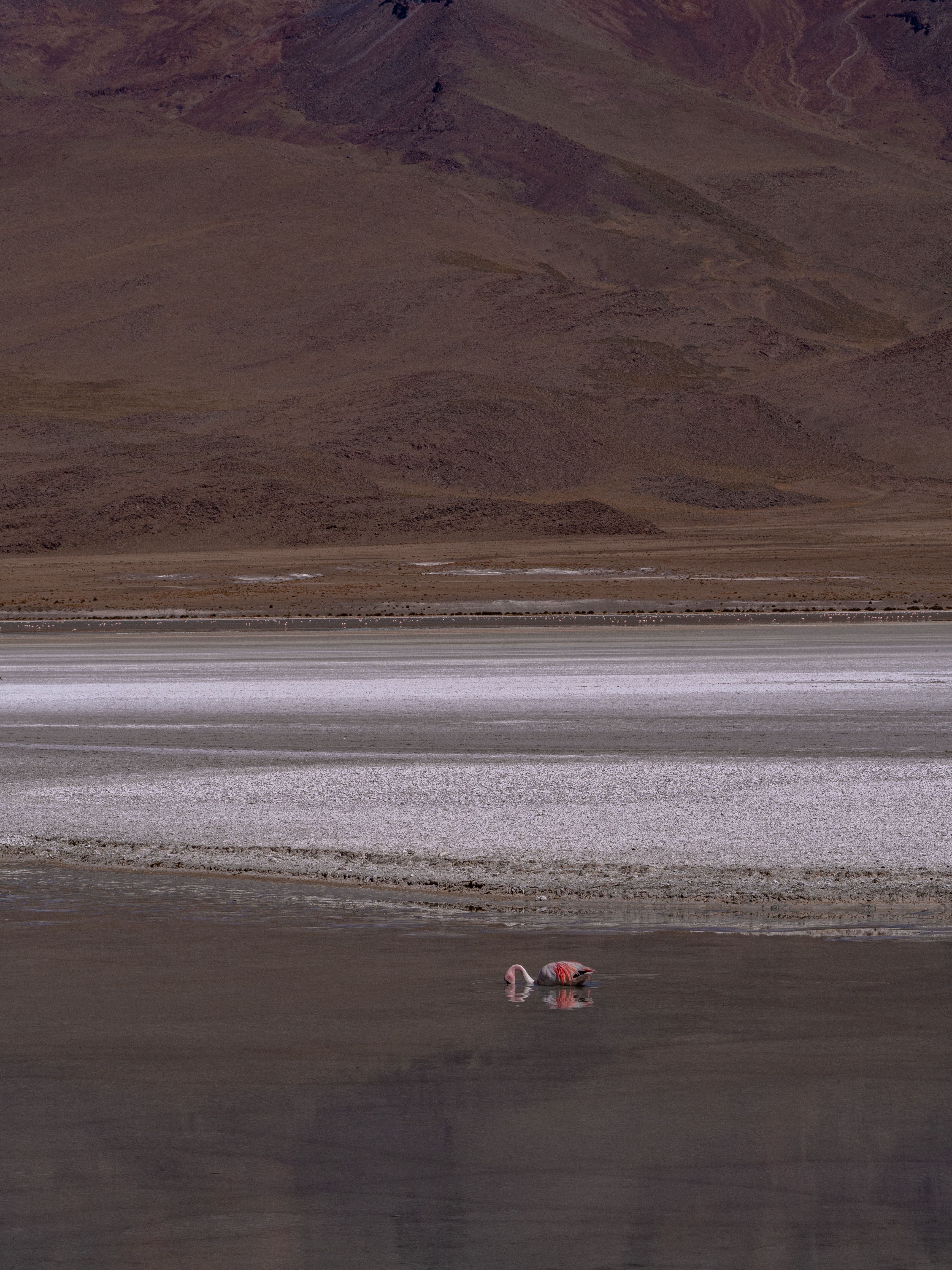 Salar De Uyuni, Bolivia Photos, Download The BEST Free Salar De Uyuni ...