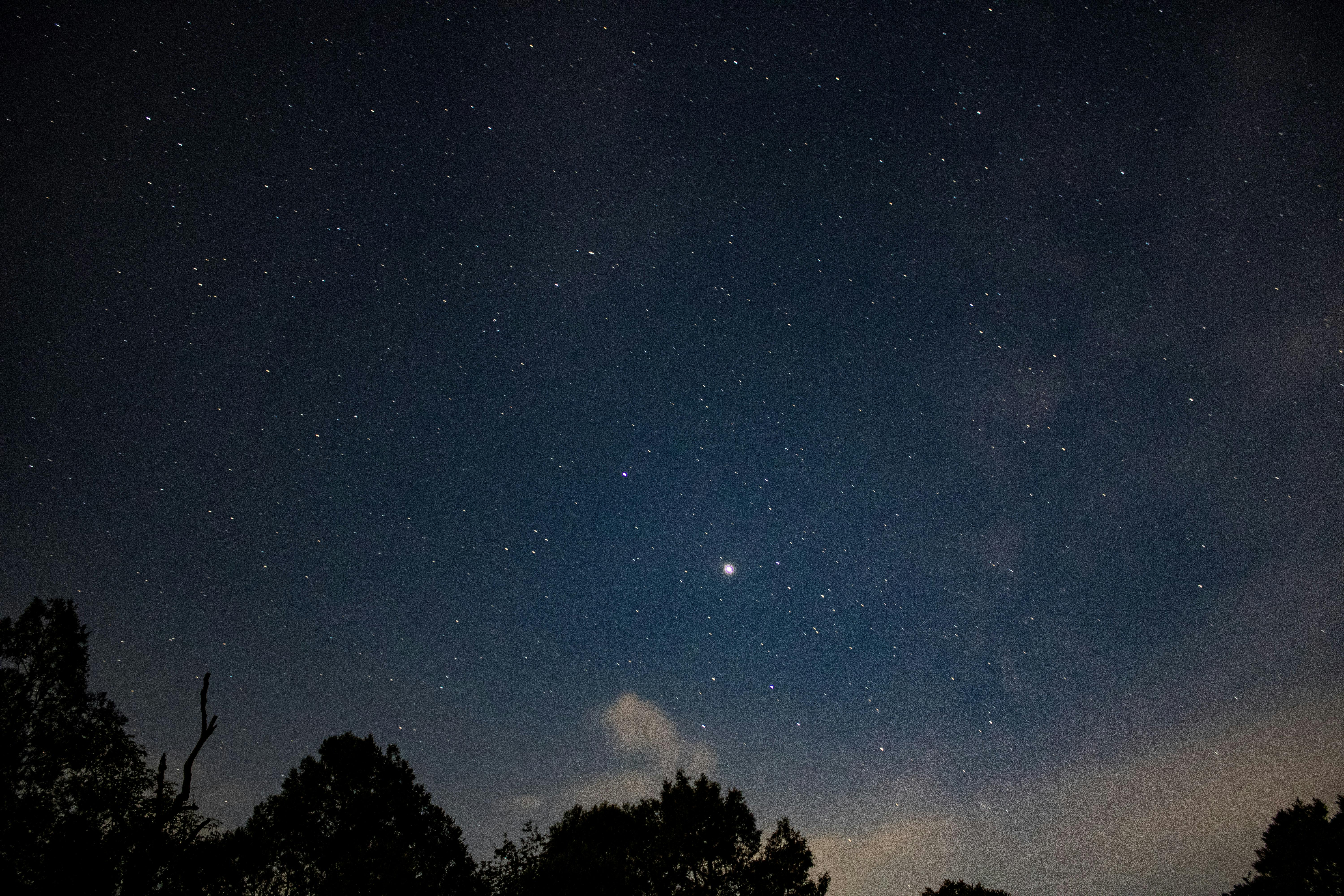 Stars Across the Night Sky · Free Stock Photo