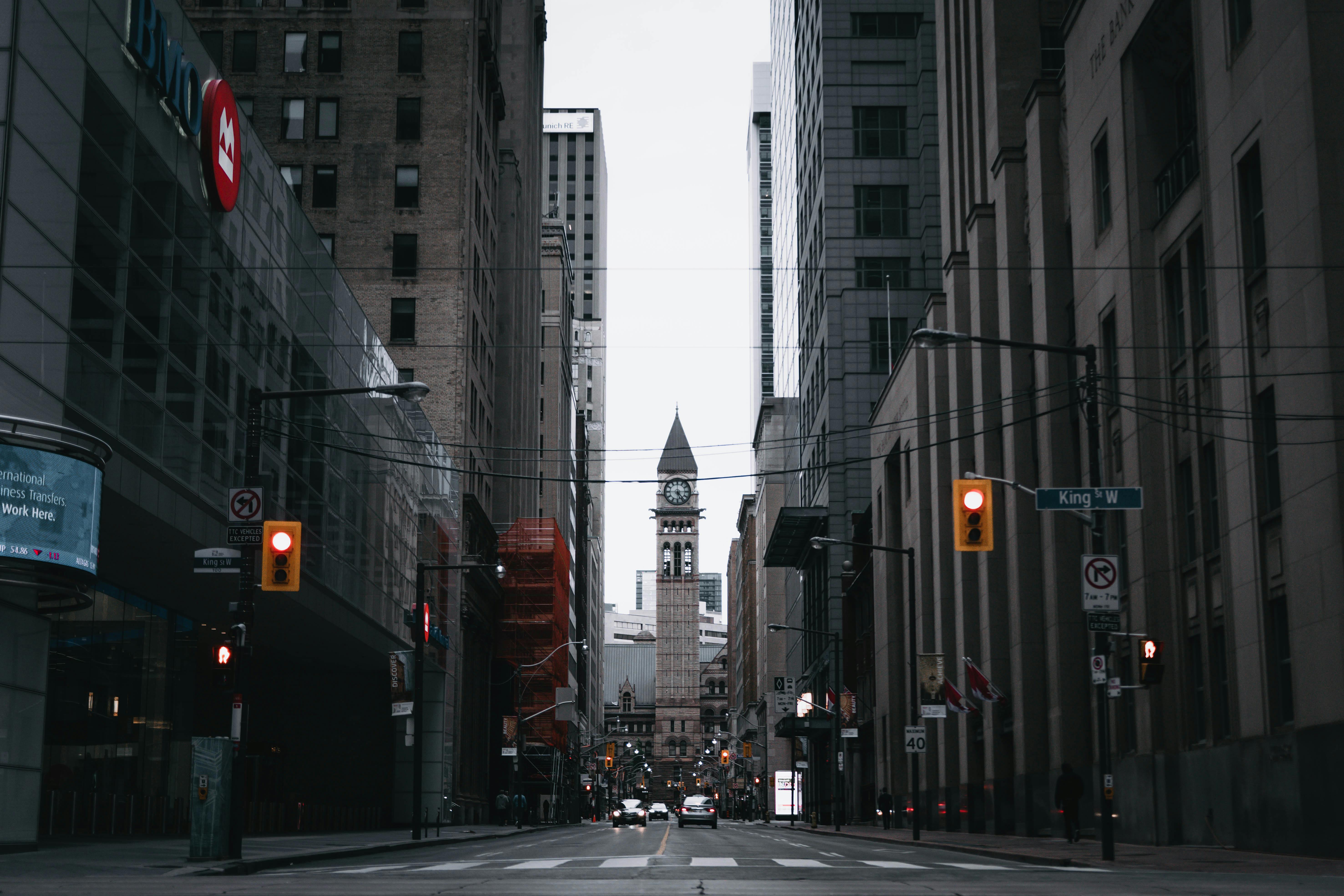 Zebra Tower Photos, Download The BEST Free Zebra Tower Stock Photos ...