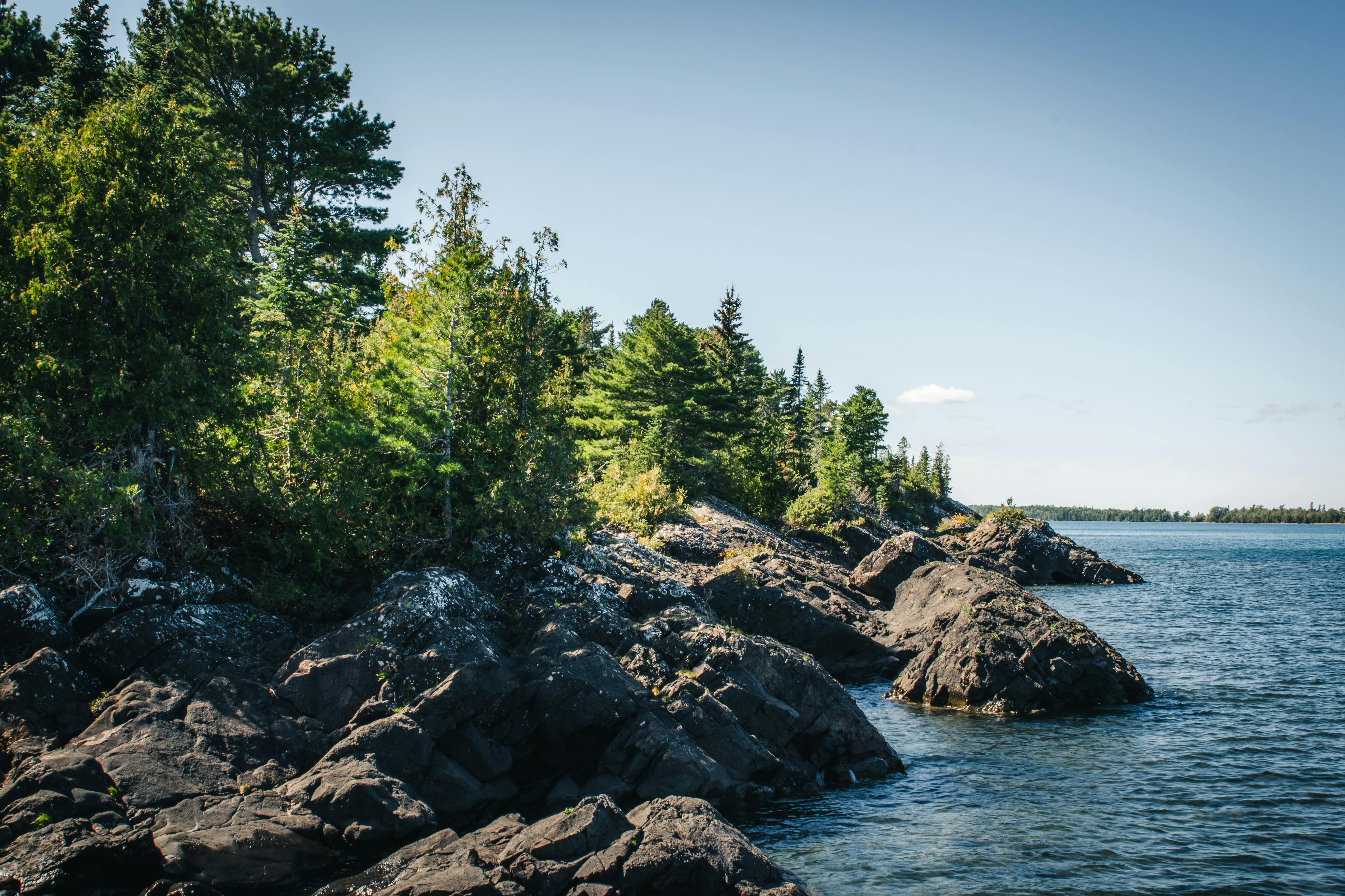 A Green Trees on a Rock Formations Beside the Body of Water · Free ...