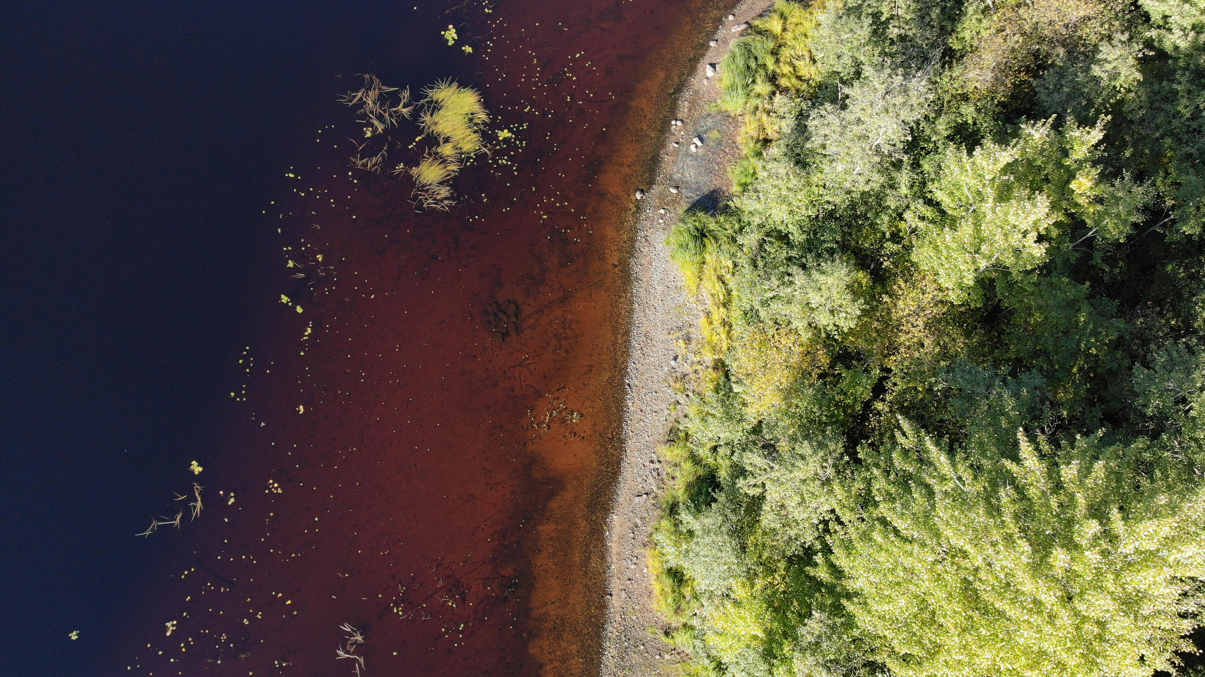 Aerial View of a Landscape · Free Stock Photo