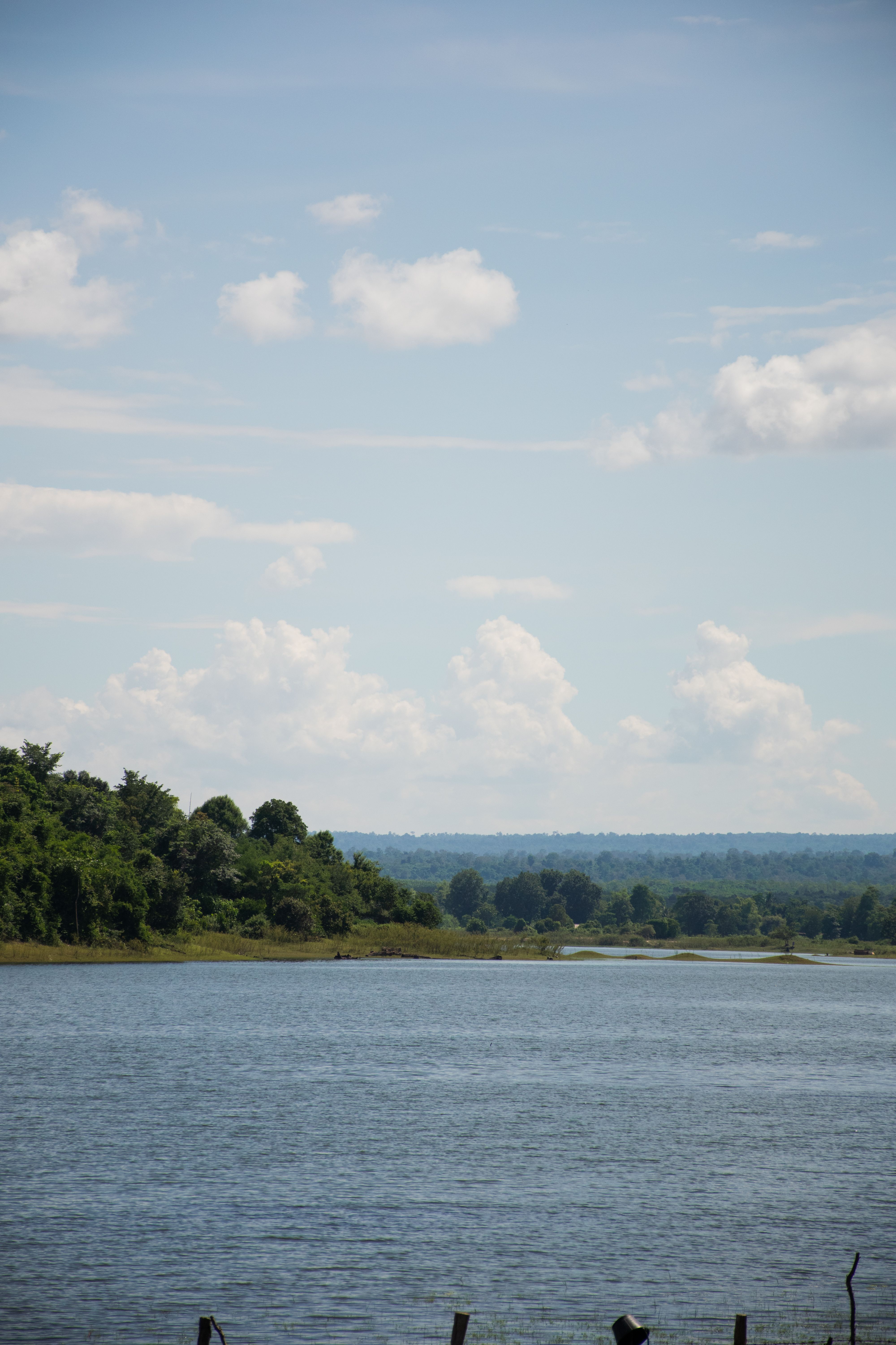 House and Tree by River · Free Stock Photo