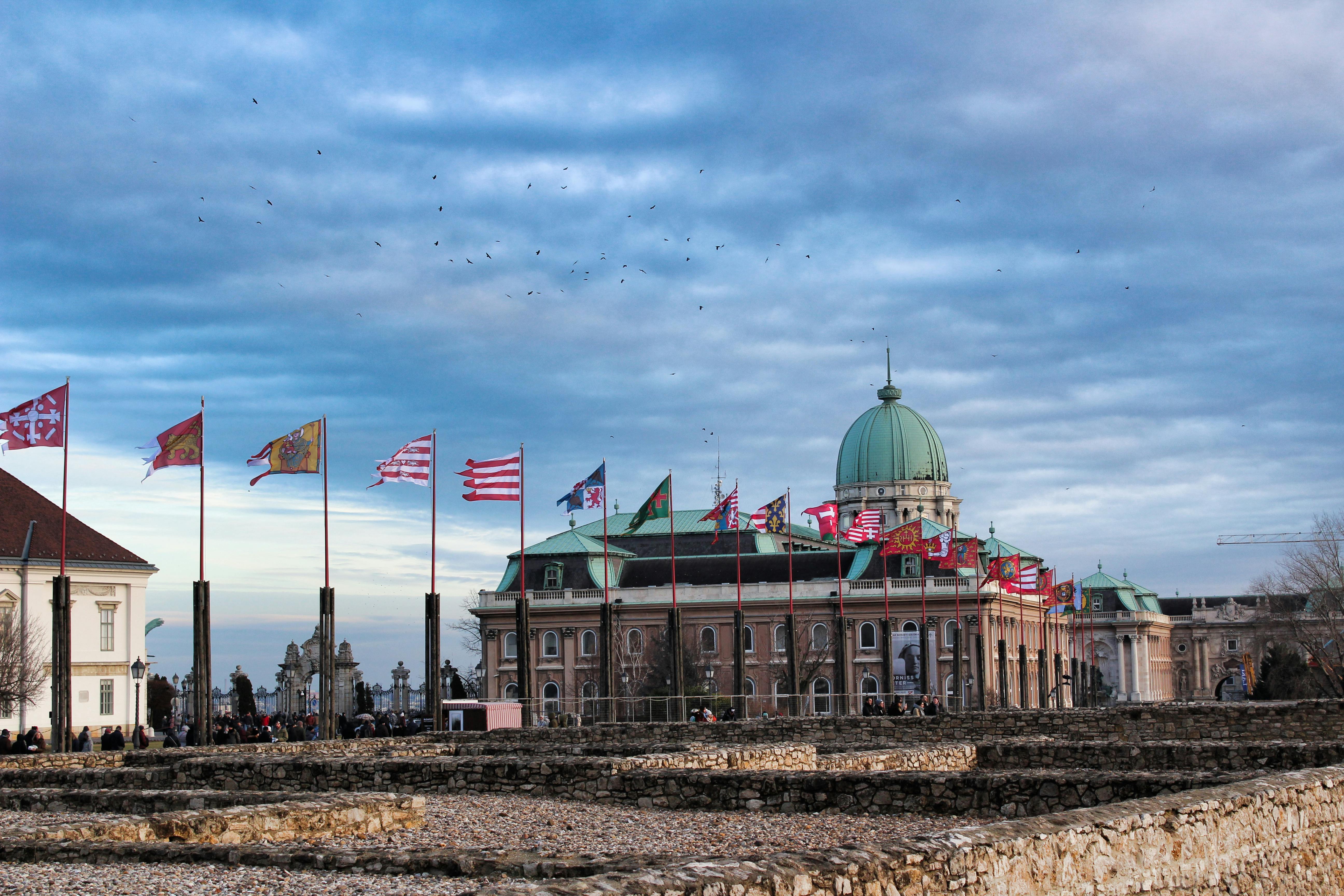 Flags Near the Buda Castle · Free Stock Photo