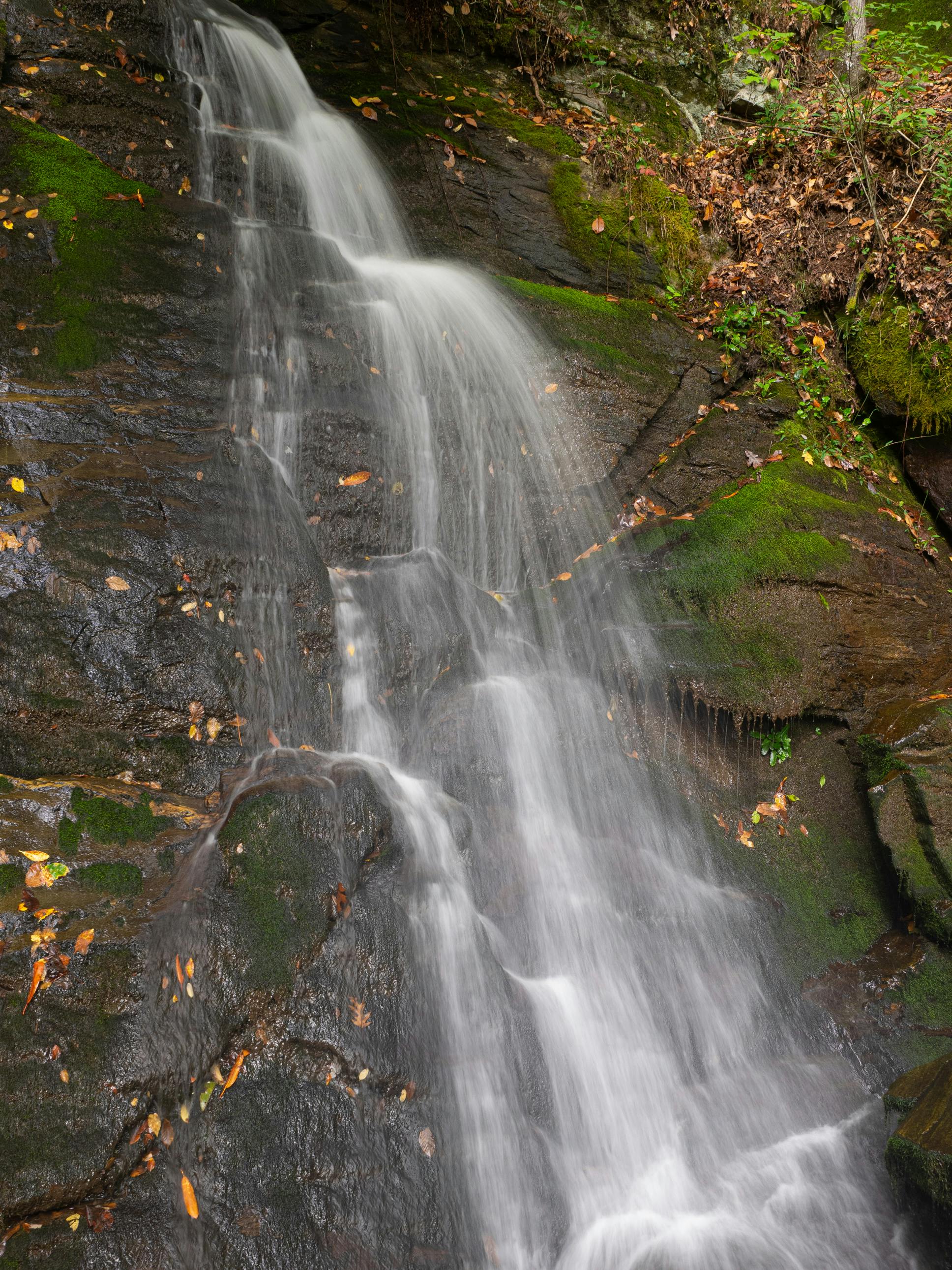Flowing Water Leading to a Lake · Free Stock Photo