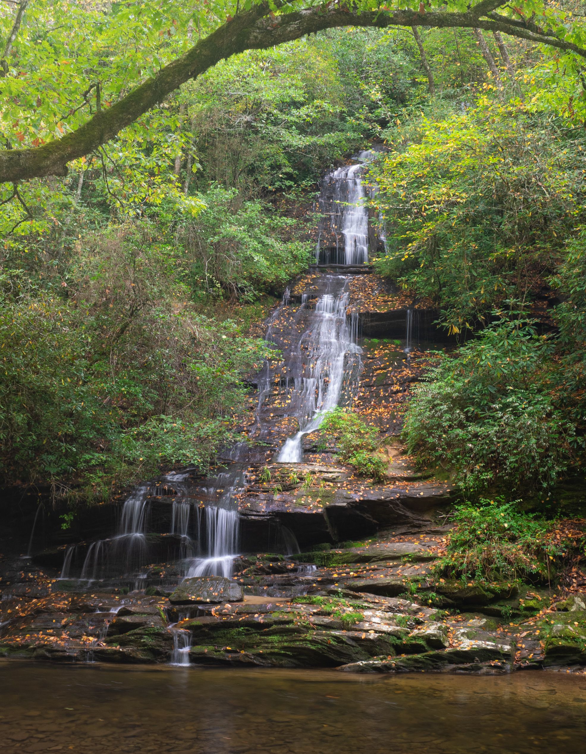 Waterfalls in a Forest · Free Stock Photo