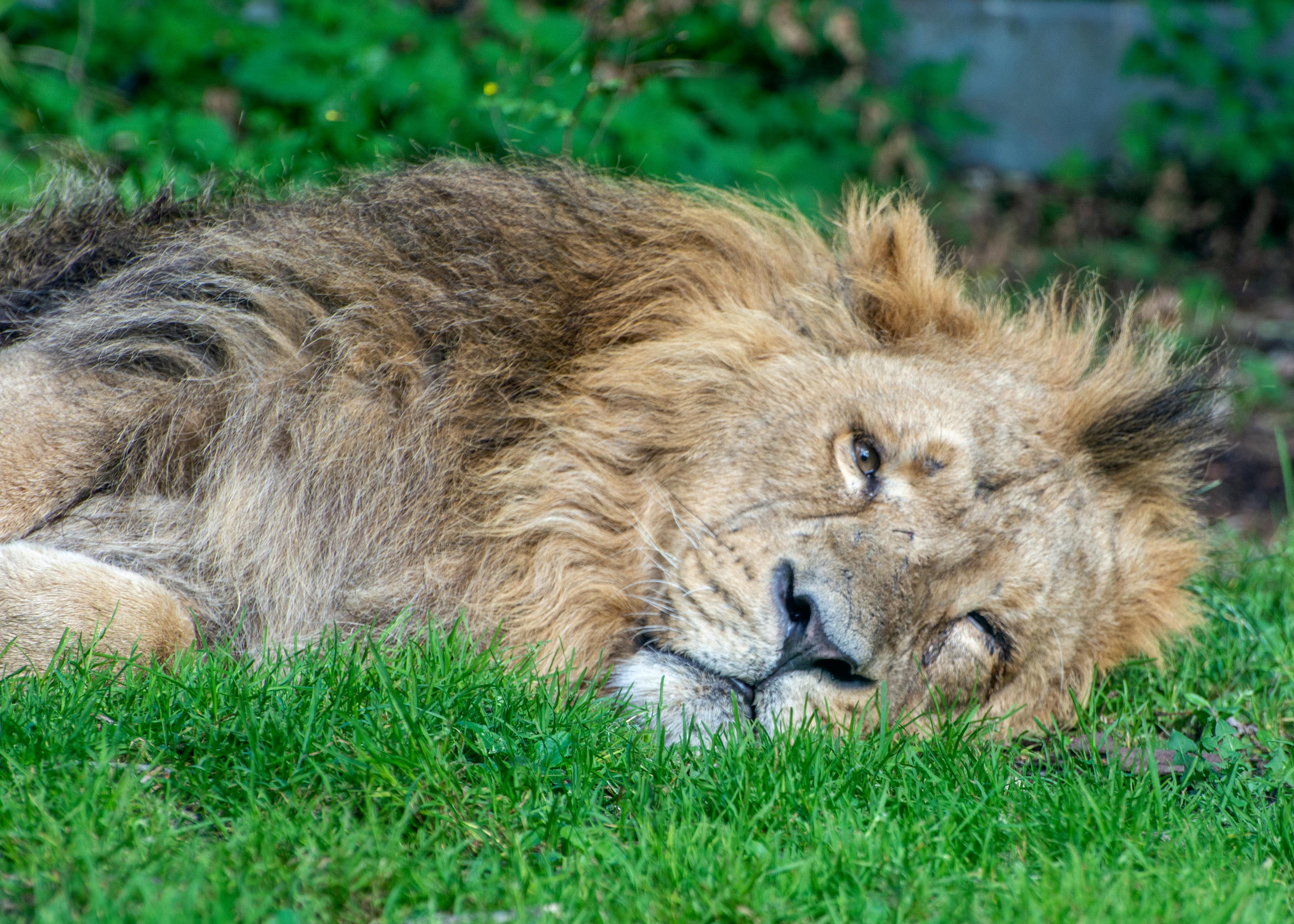 David Atkins - 摄影