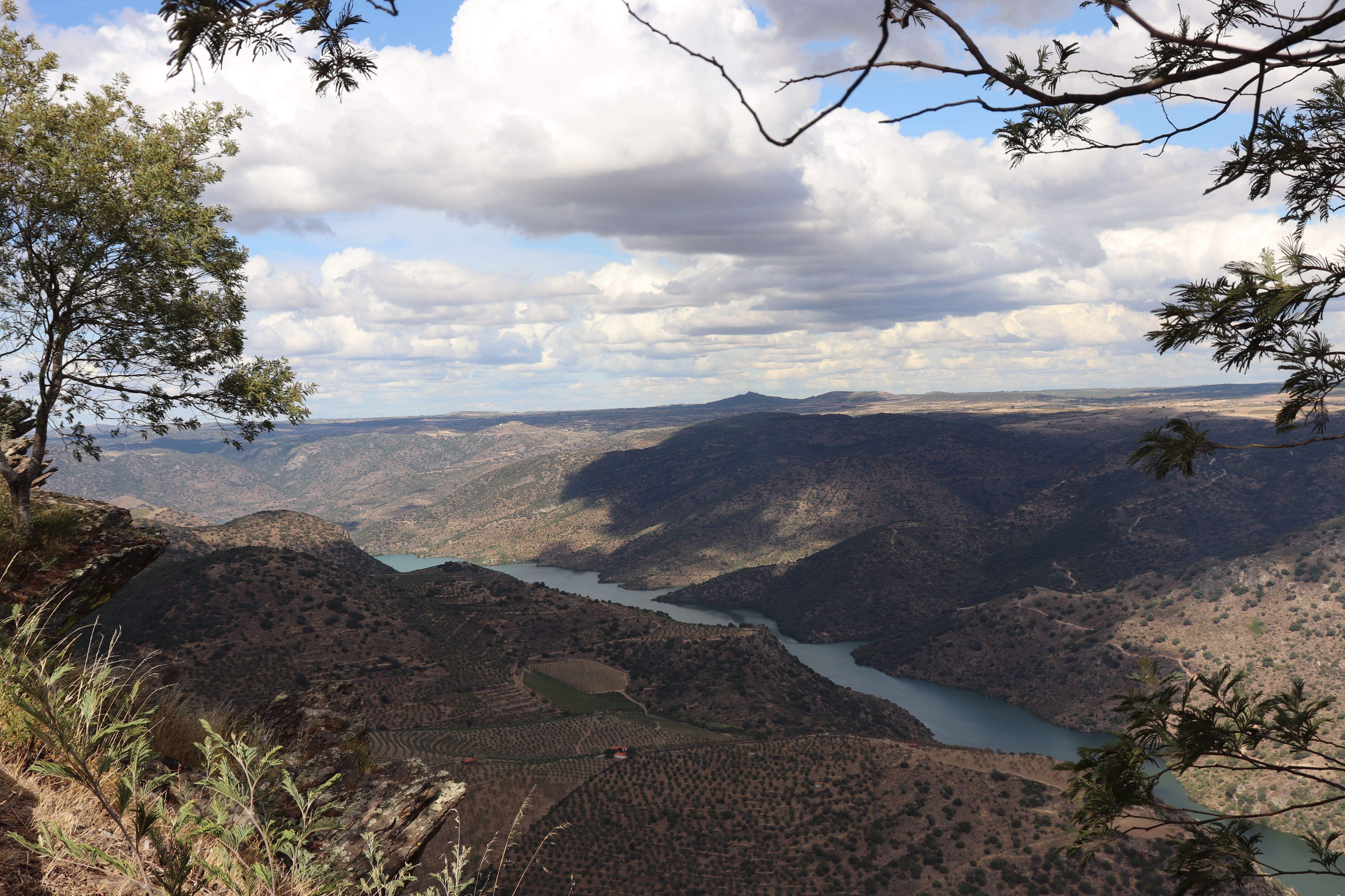A River in Between Hills · Free Stock Photo