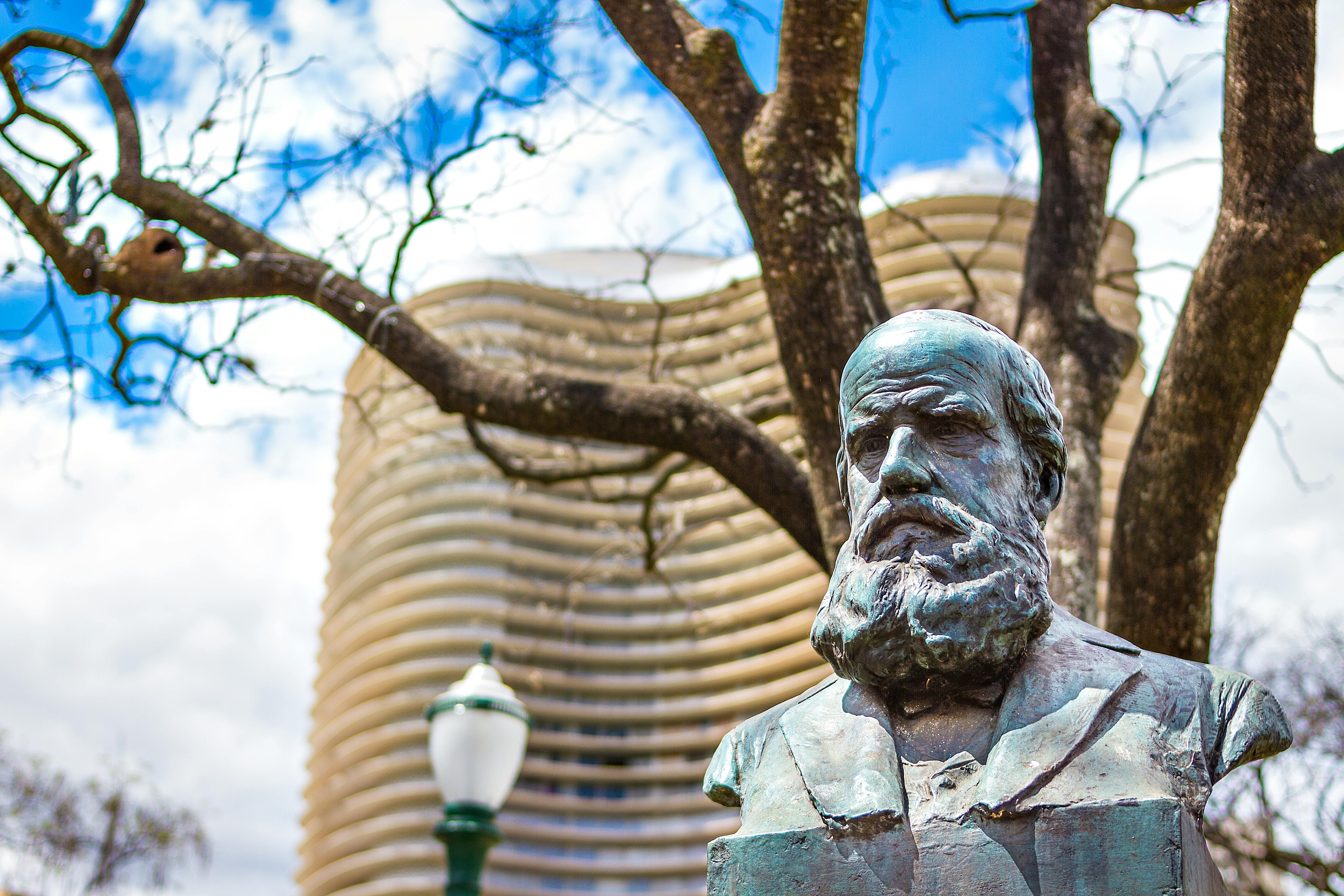 Guggul Tree Images Photos, Download The BEST Free Guggul Tree Images ...