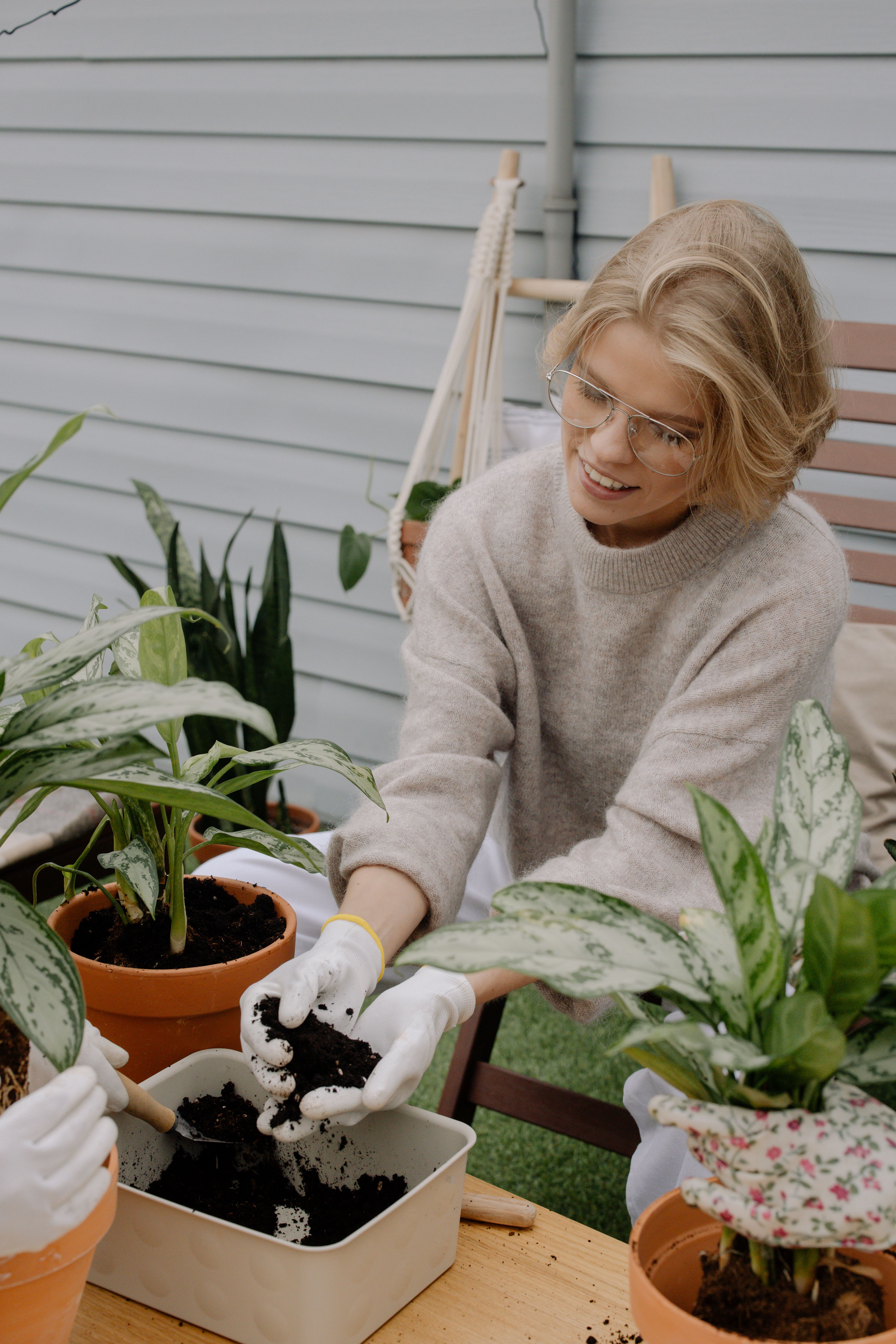 Person Holding Plants with Green Leaves · Free Stock Photo