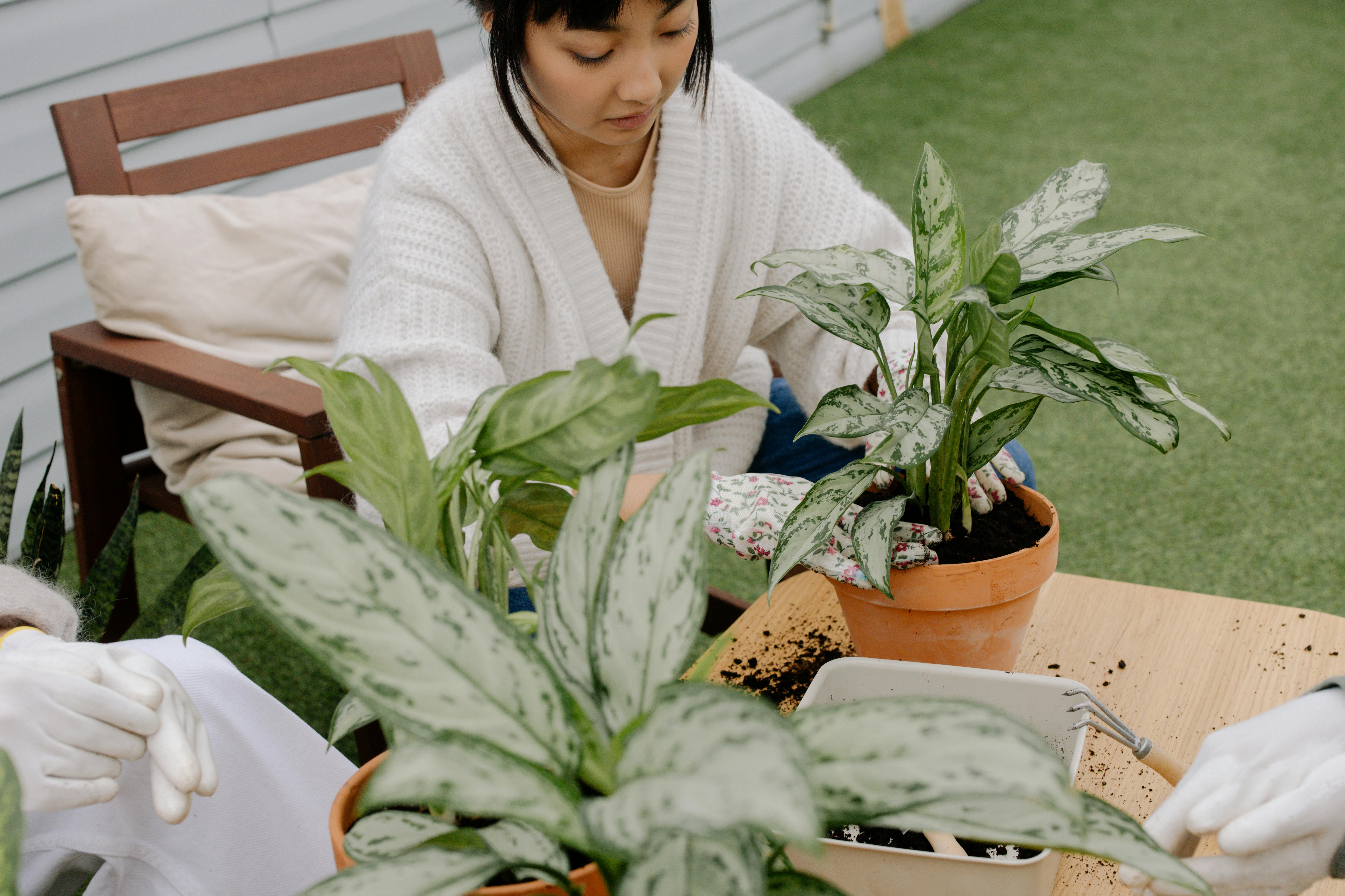 Women Doing Planting Together · Free Stock Photo