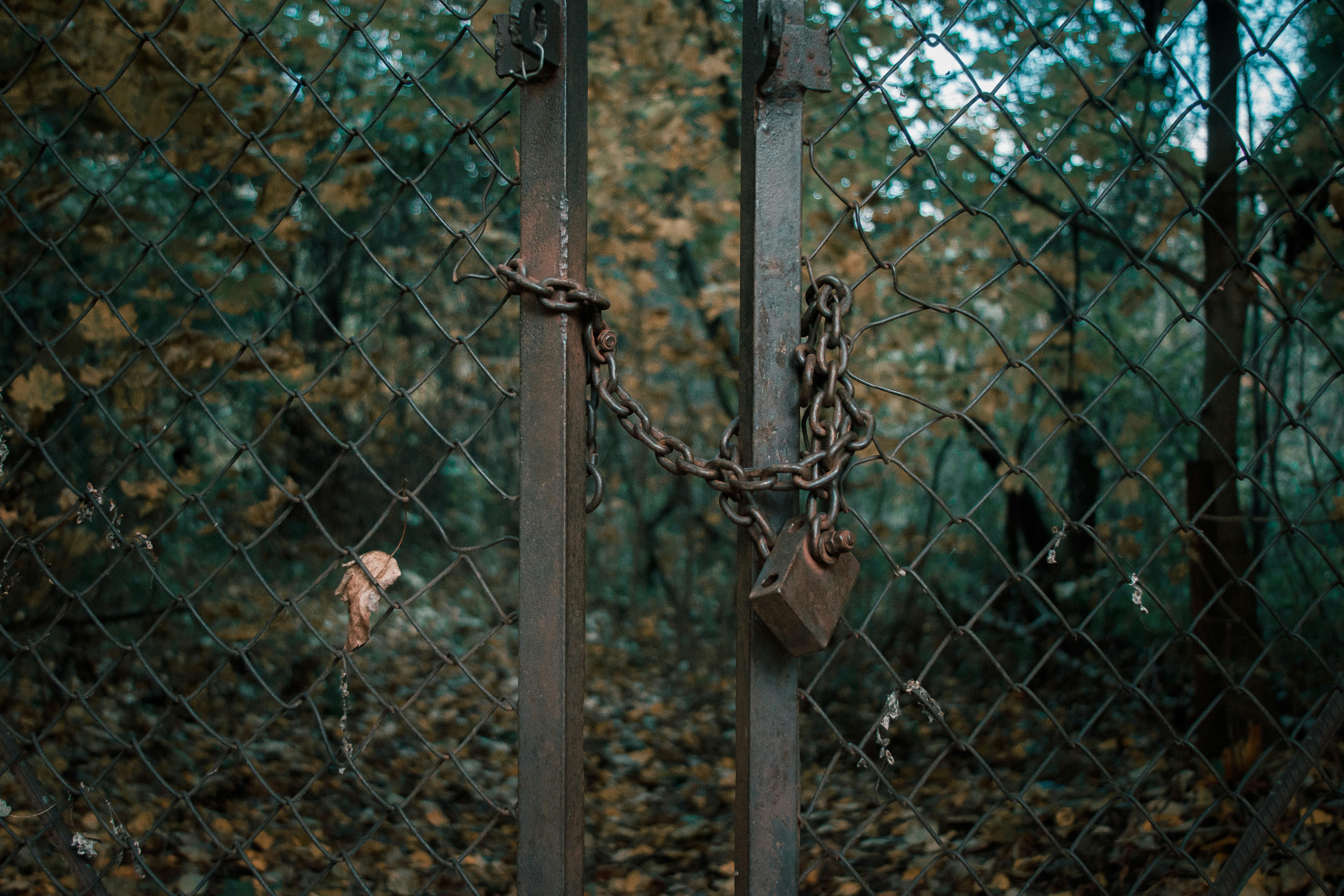 Photo of a Locked Gate · Free Stock Photo