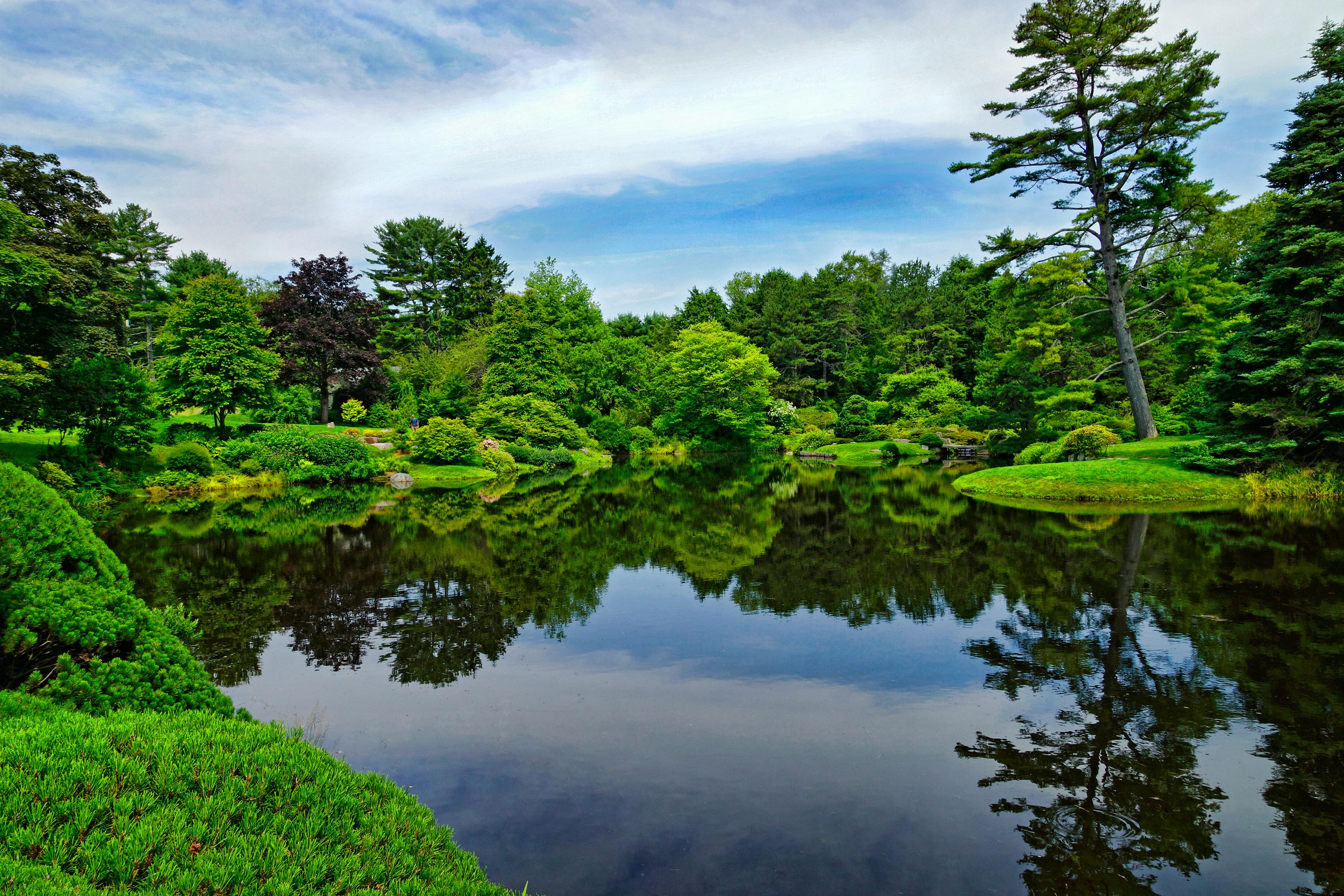 Robert Anthony Carbone - Photography