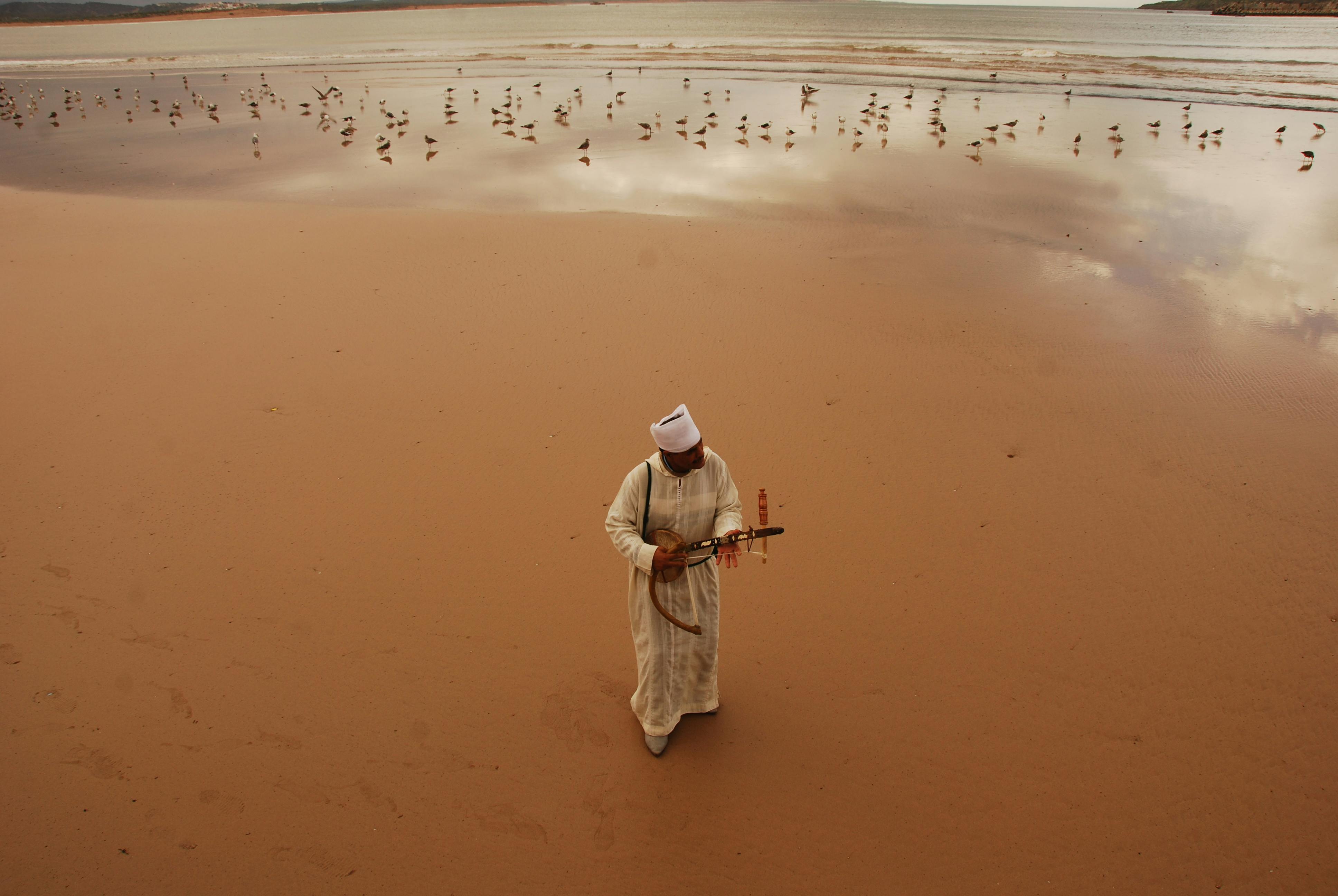 Lute Arbeiten Bird Photos, Download The BEST Free Lute Arbeiten Bird ...