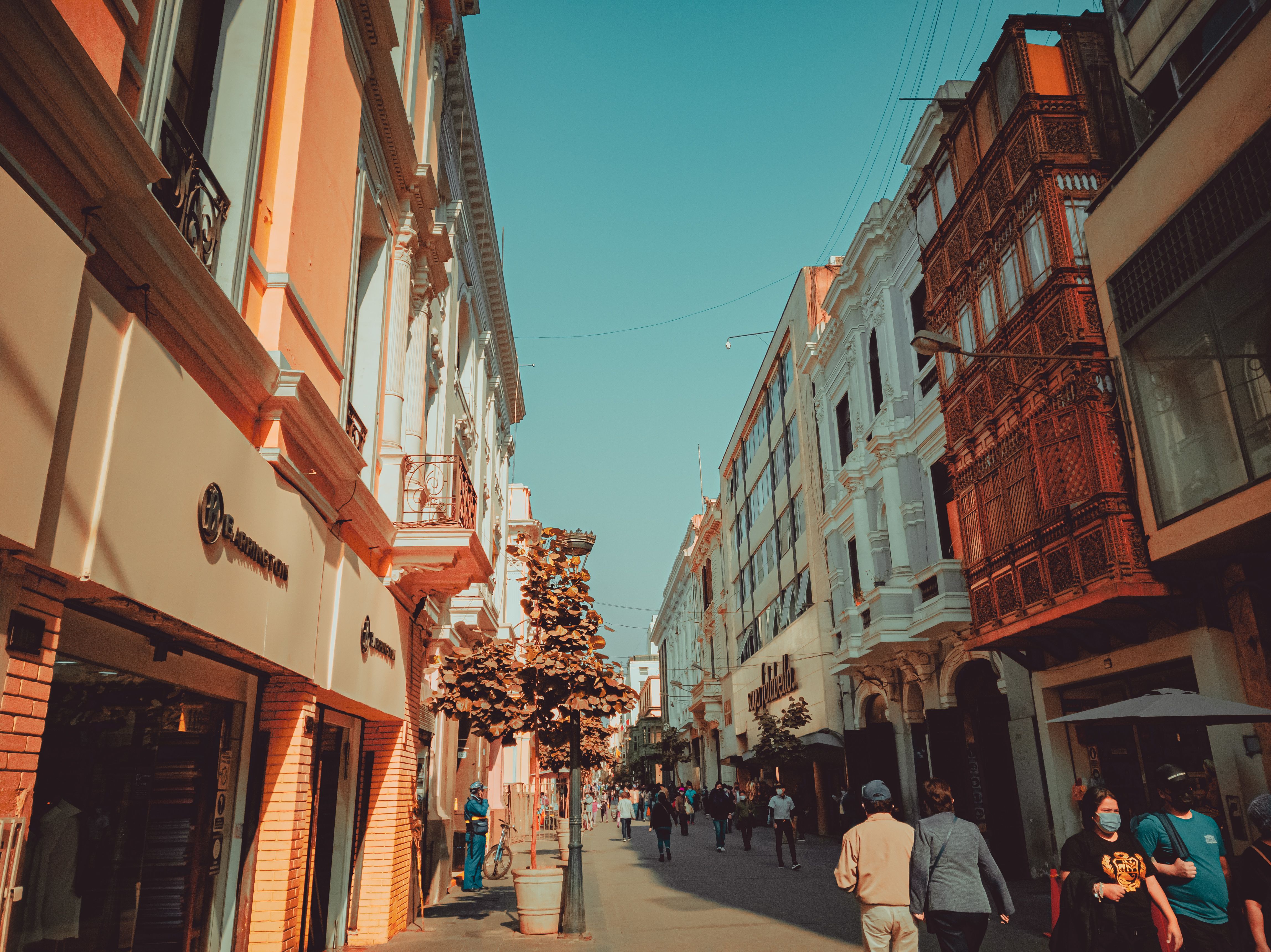 10+ Best Lima Photos · 100% Free Download · Pexels Stock Photos