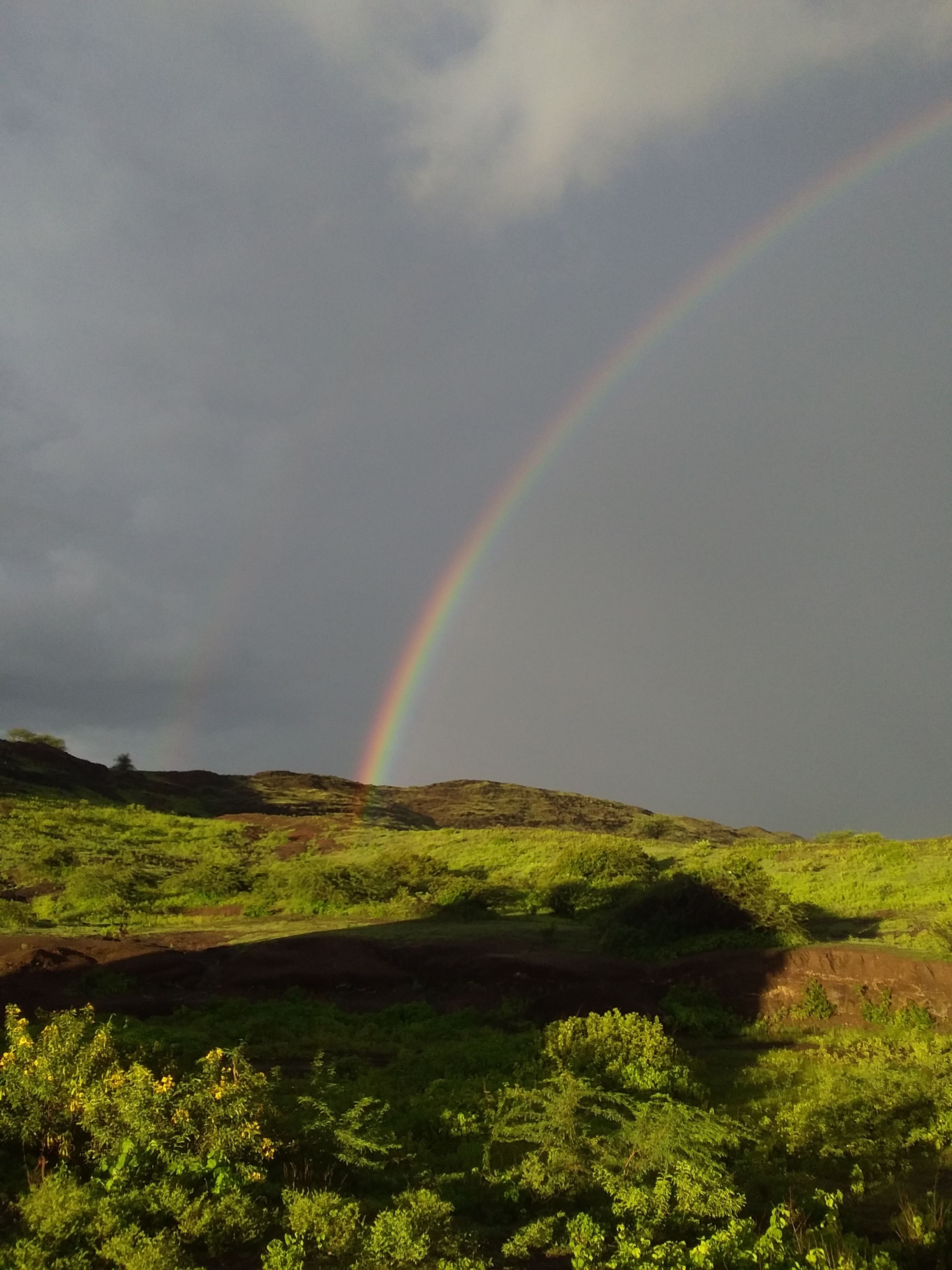 Green Grass Field Under Rainbow · Free Stock Photo