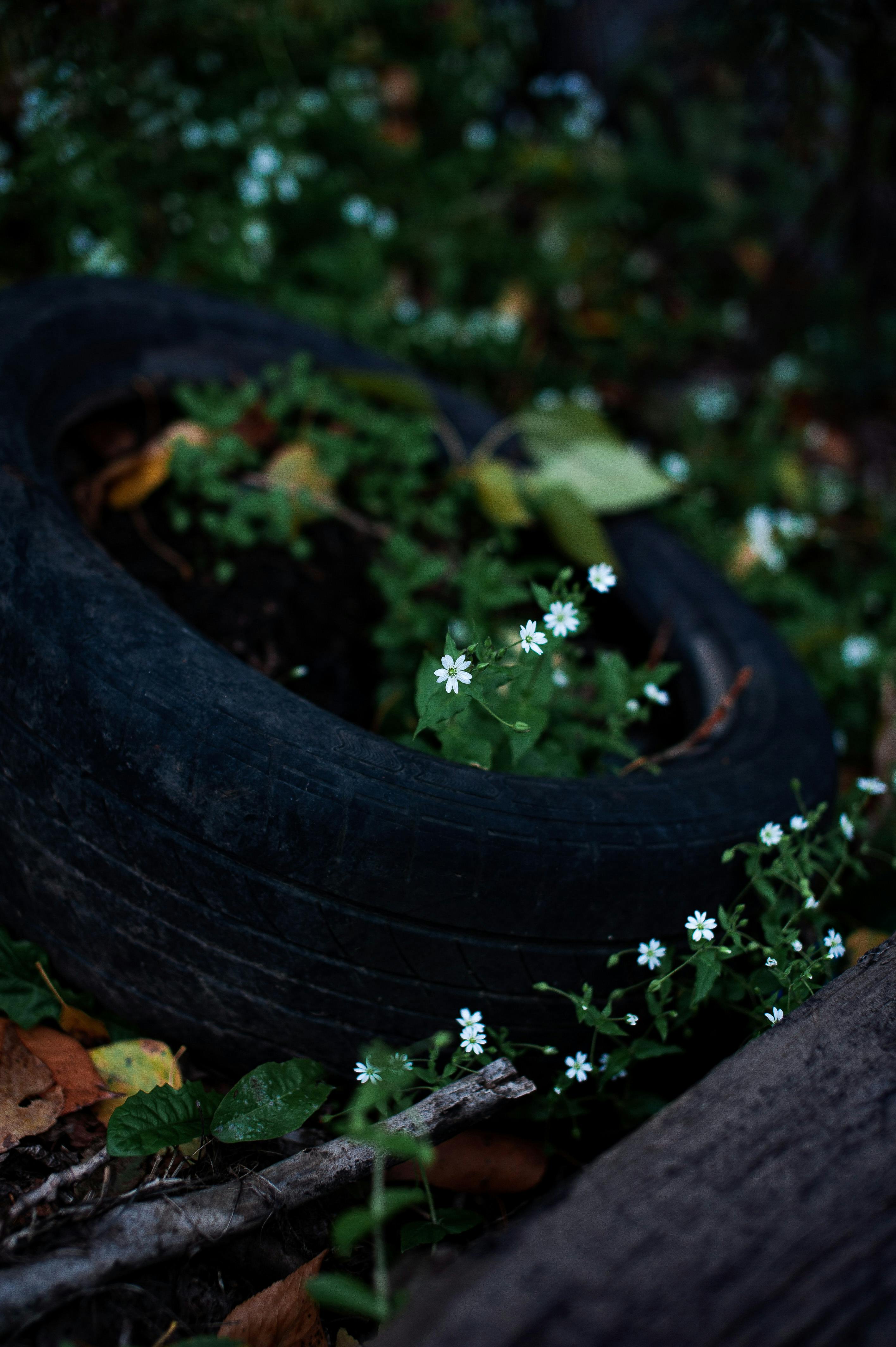 10,568+ Best Free Flat tire Stock Photos & Images · 100% Royalty-Free ...