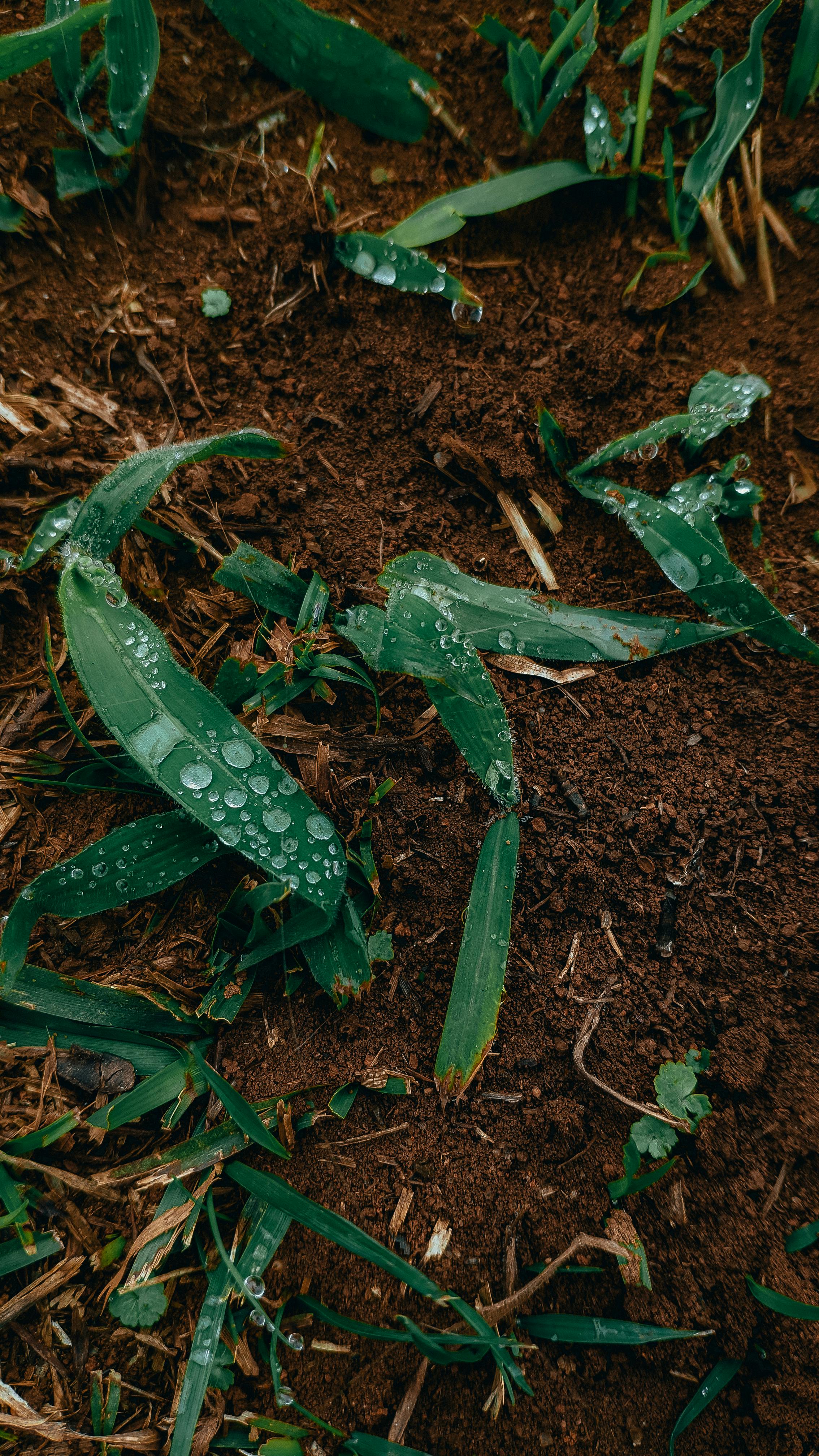 Brown Rock · Free Stock Photo