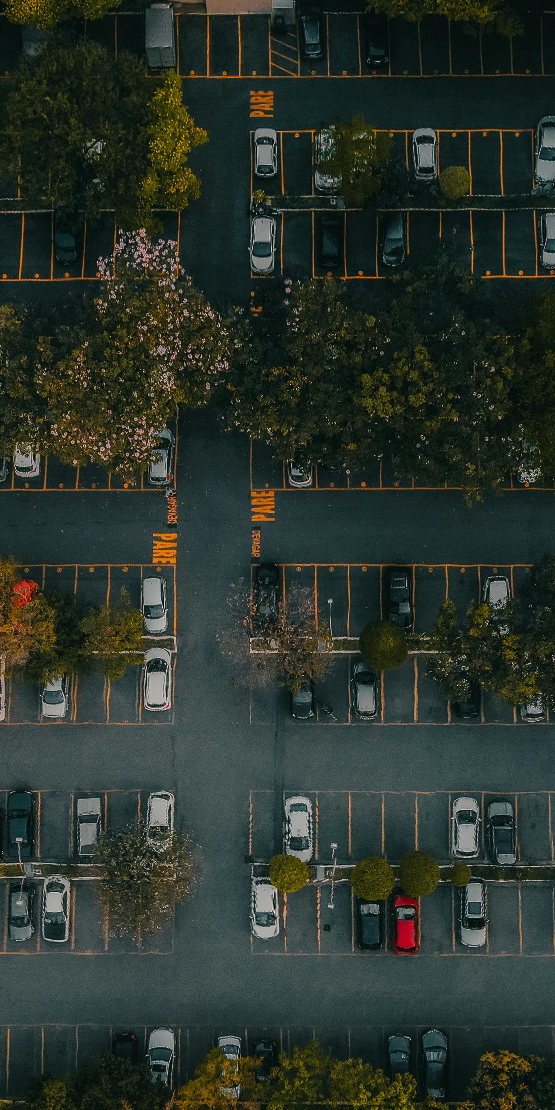 Drone Shot of a Car on a Road in a Forest · Free Stock Photo