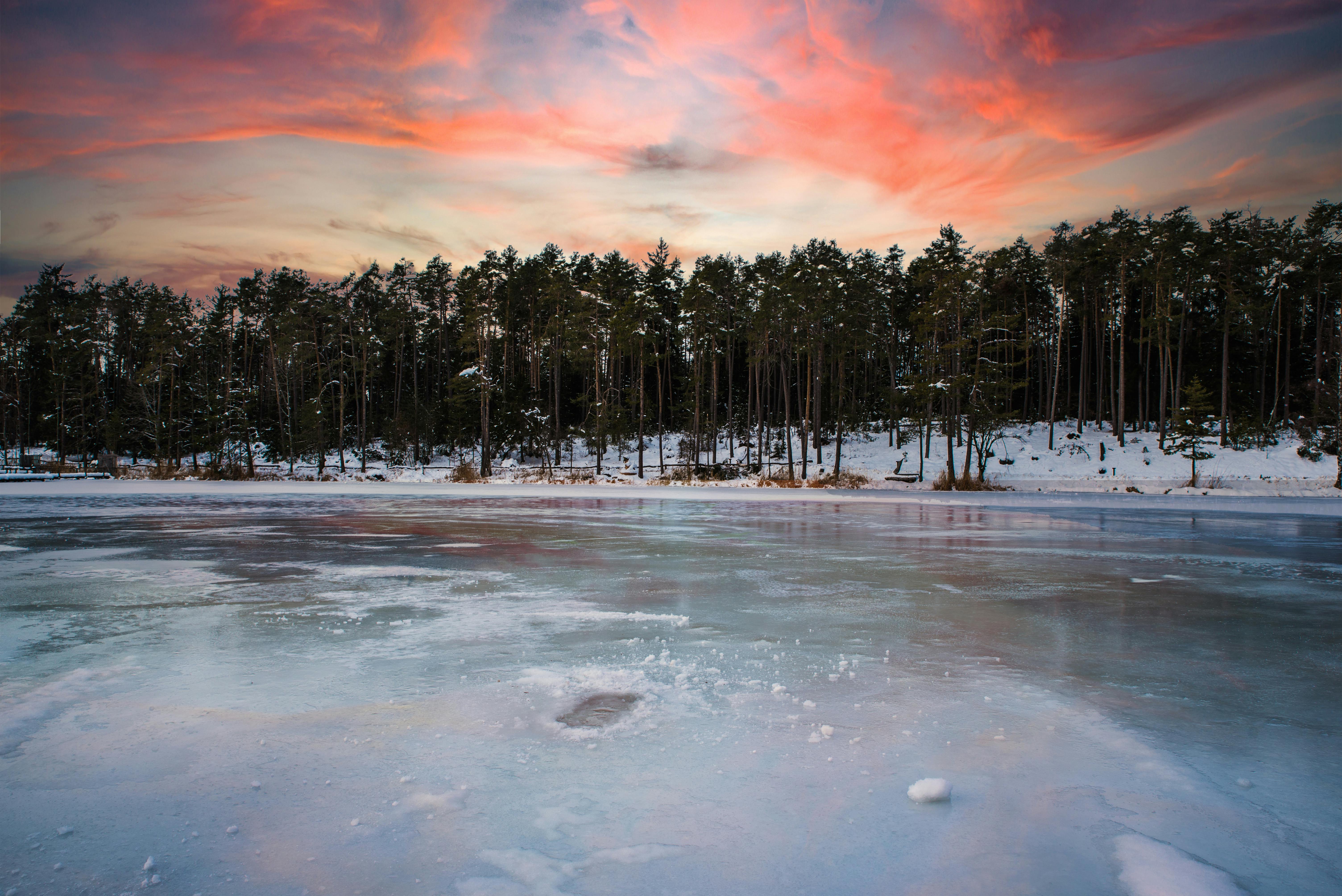 Green Trees beside frozen Lake · Free Stock Photo