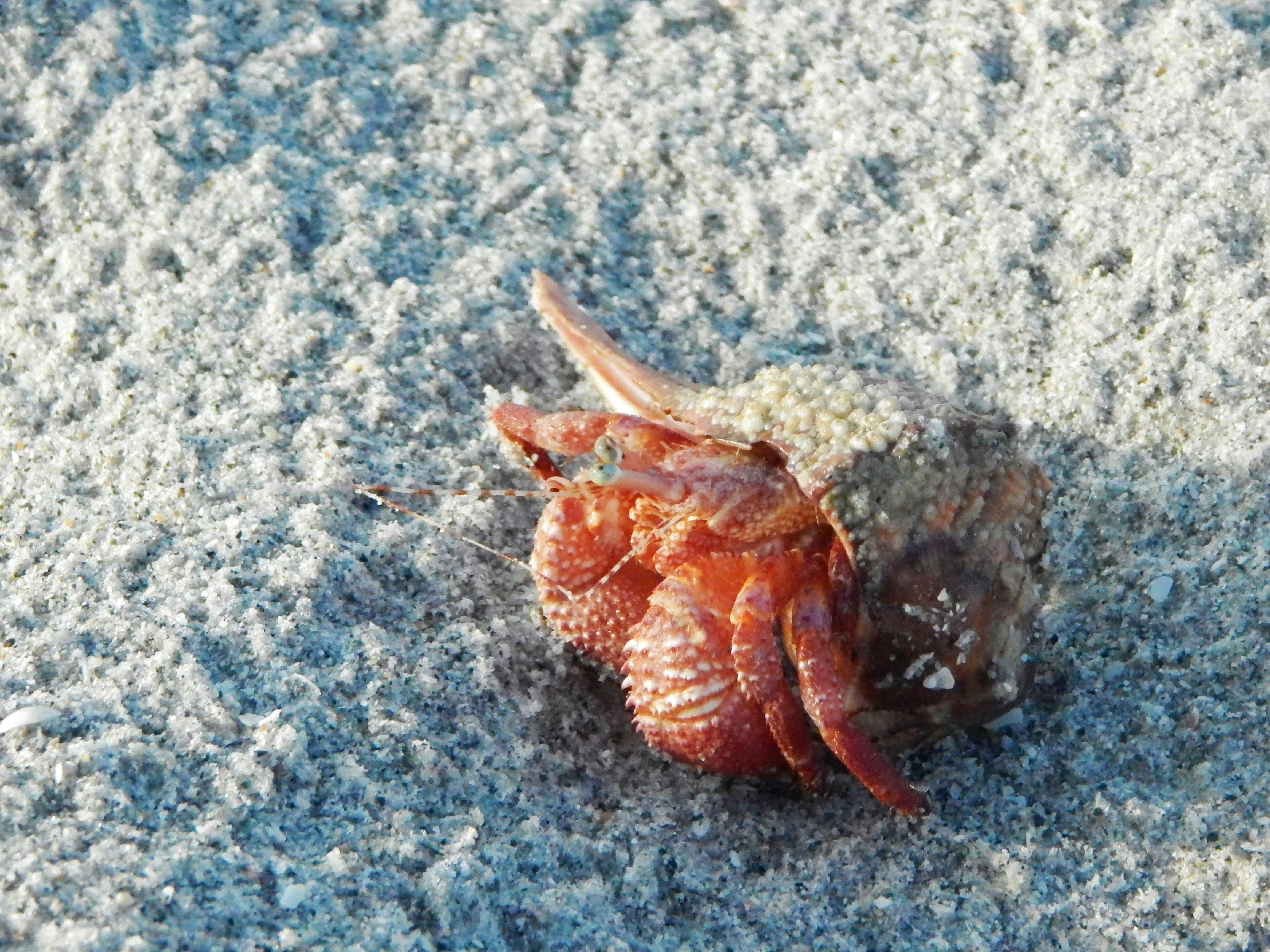 Rebecca Bates - Fotografía