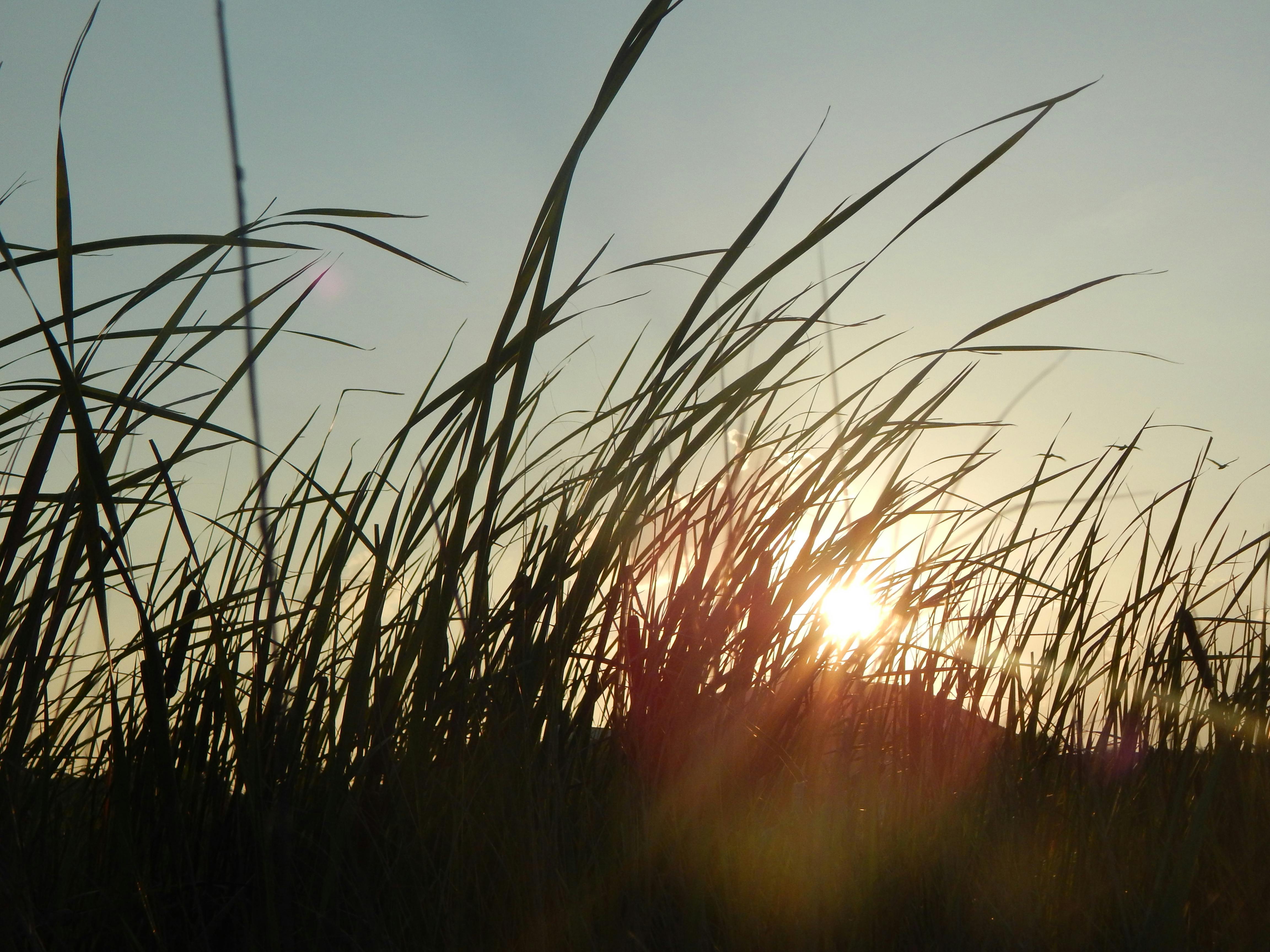 Rebecca Bates - Fotografía