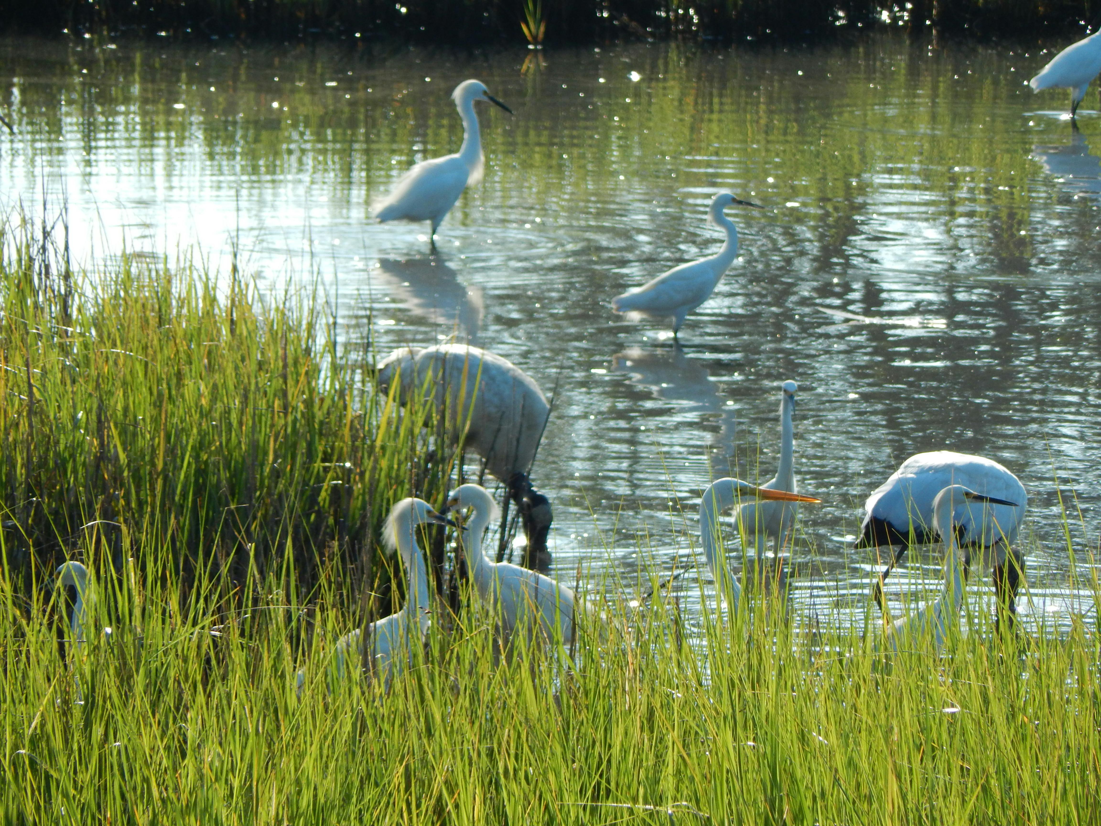 Rebecca Bates - Fotografía