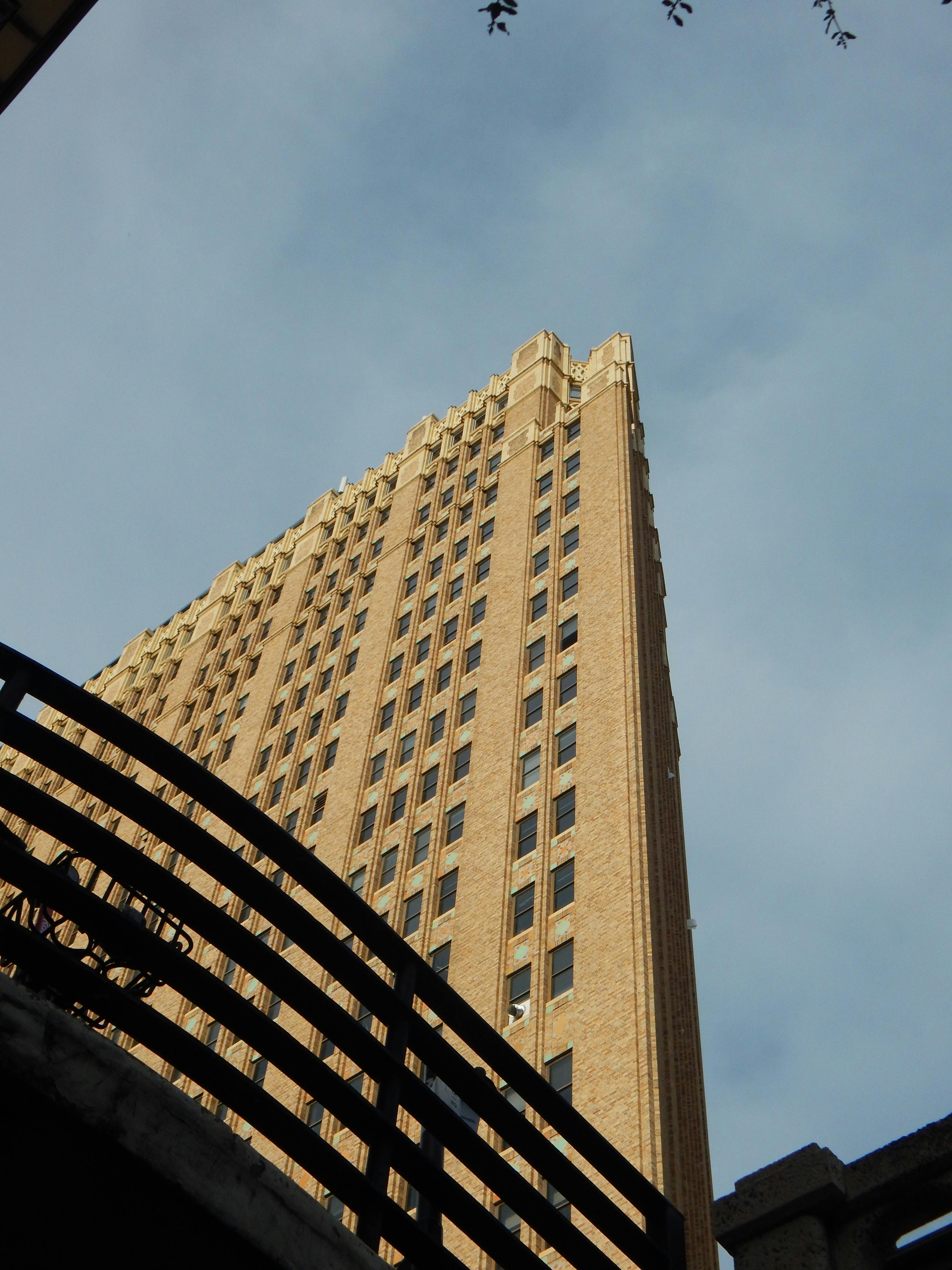 Rebecca Bates - Fotografía