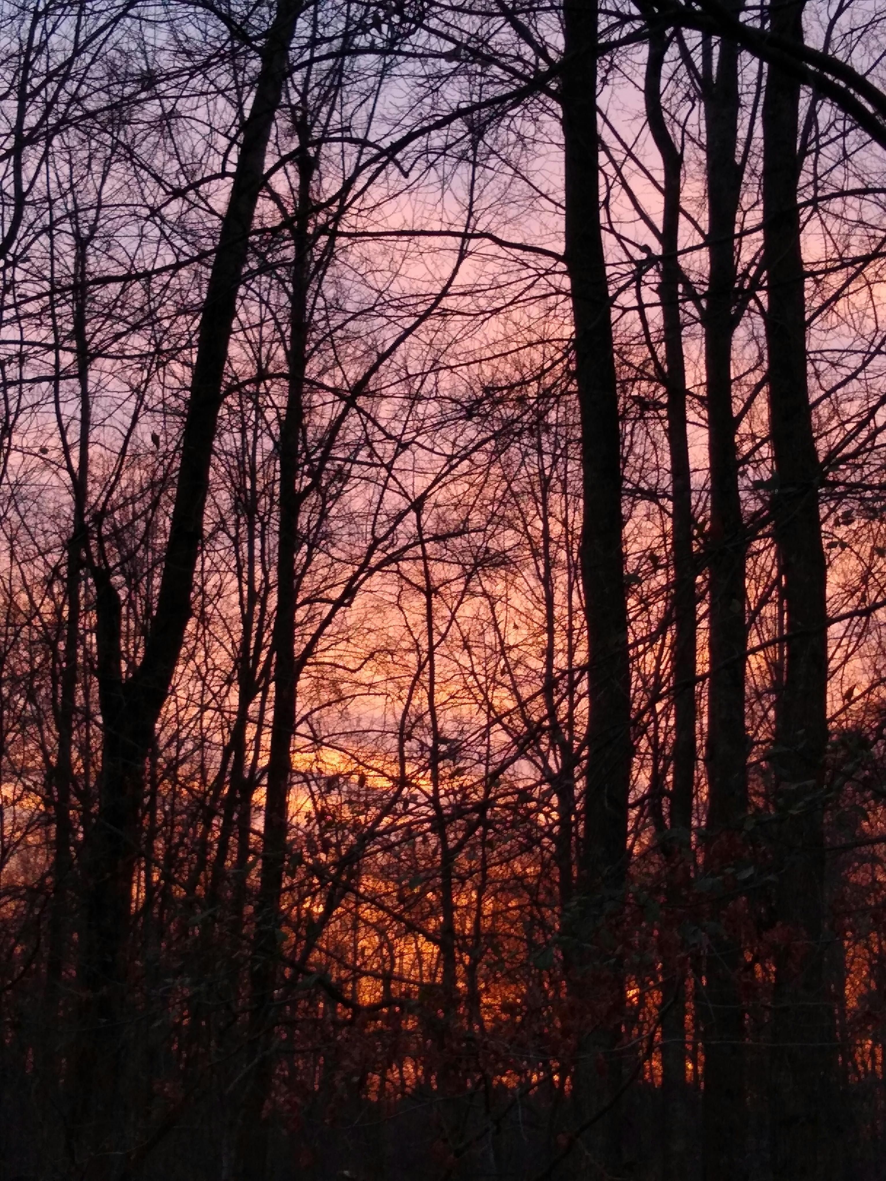 Rebecca Bates - Fotografía