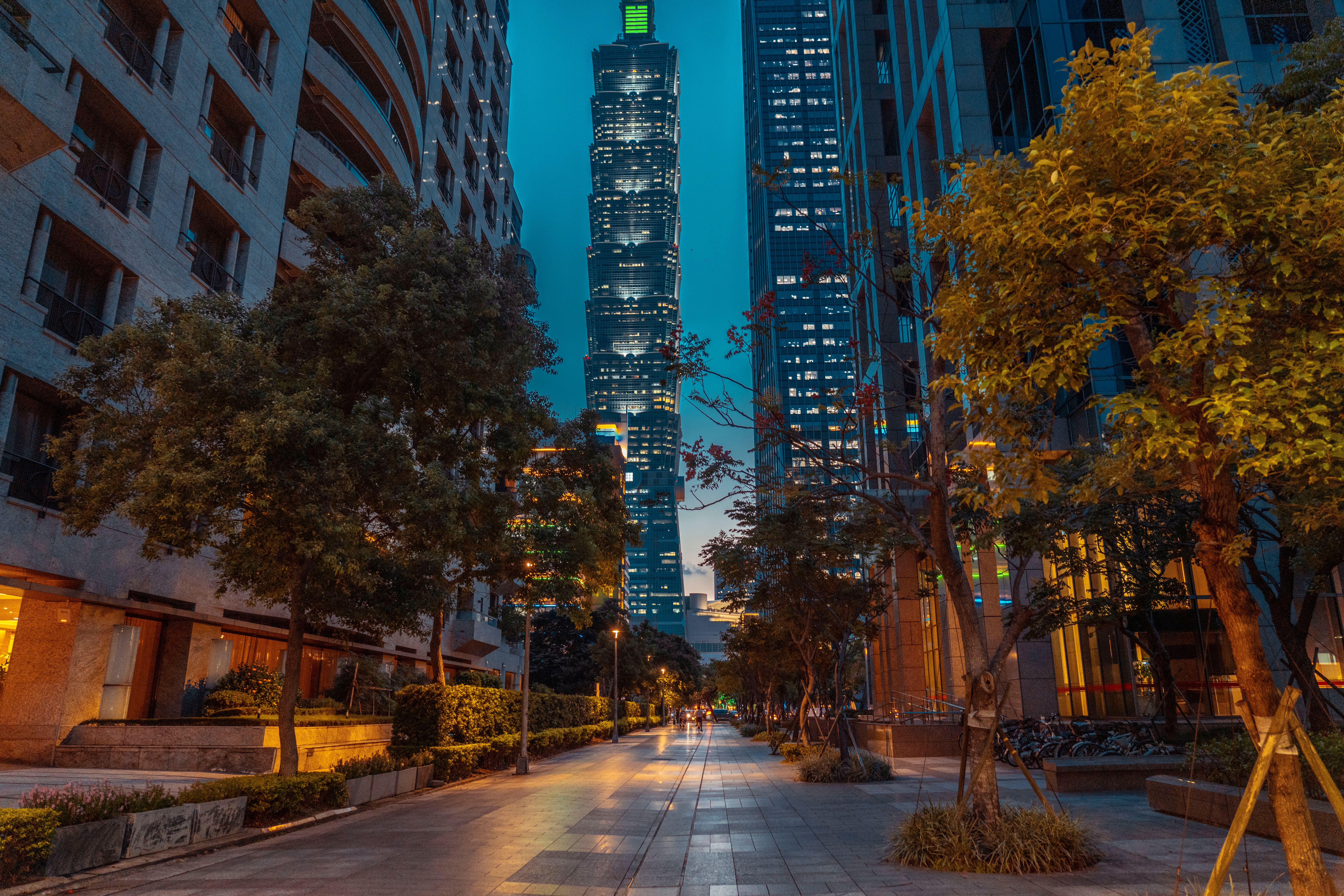 Green Trees Near High Rise Buildings · Free Stock Photo