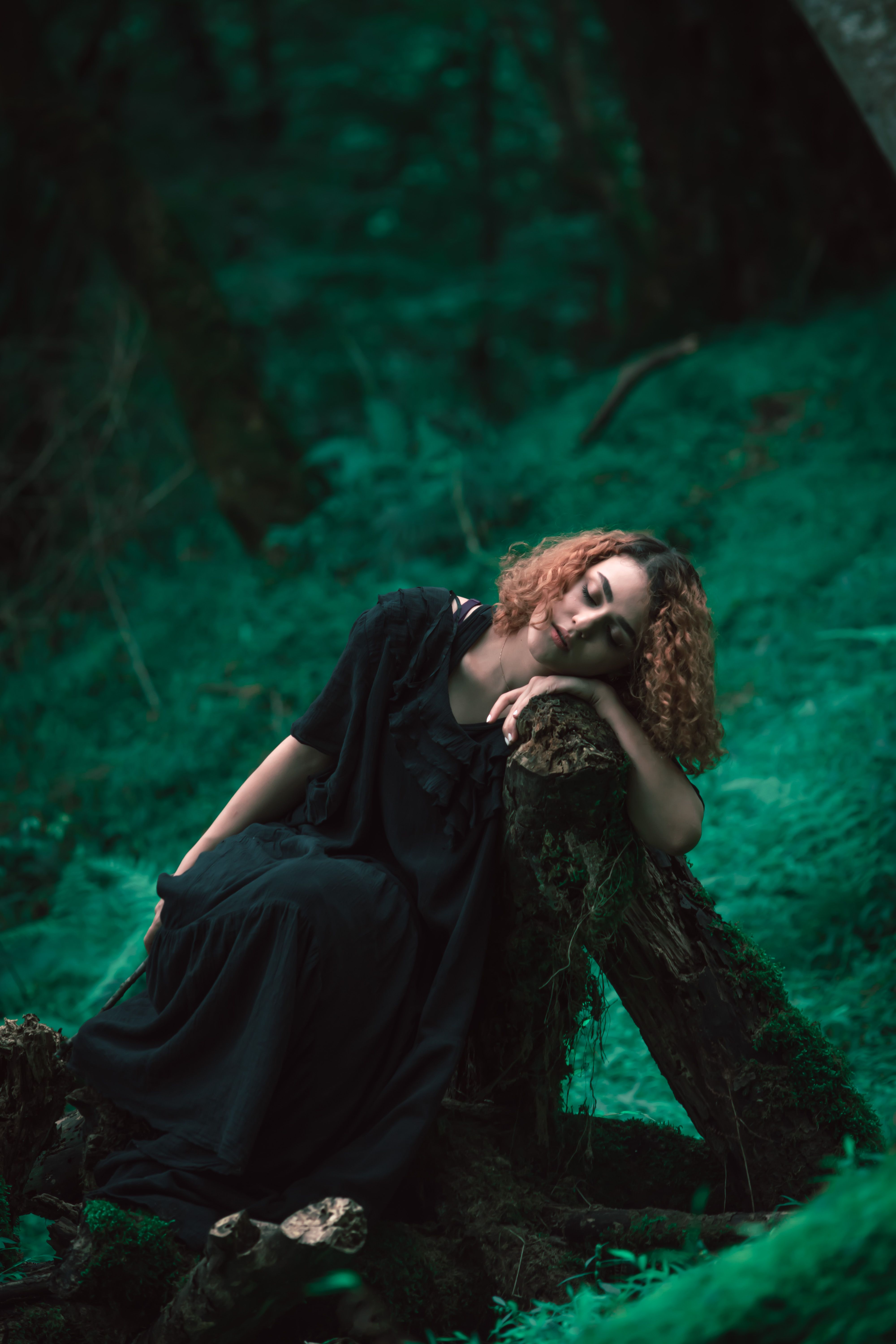 Sleeping In Forest Photos, Download The BEST Free Sleeping In Forest ...