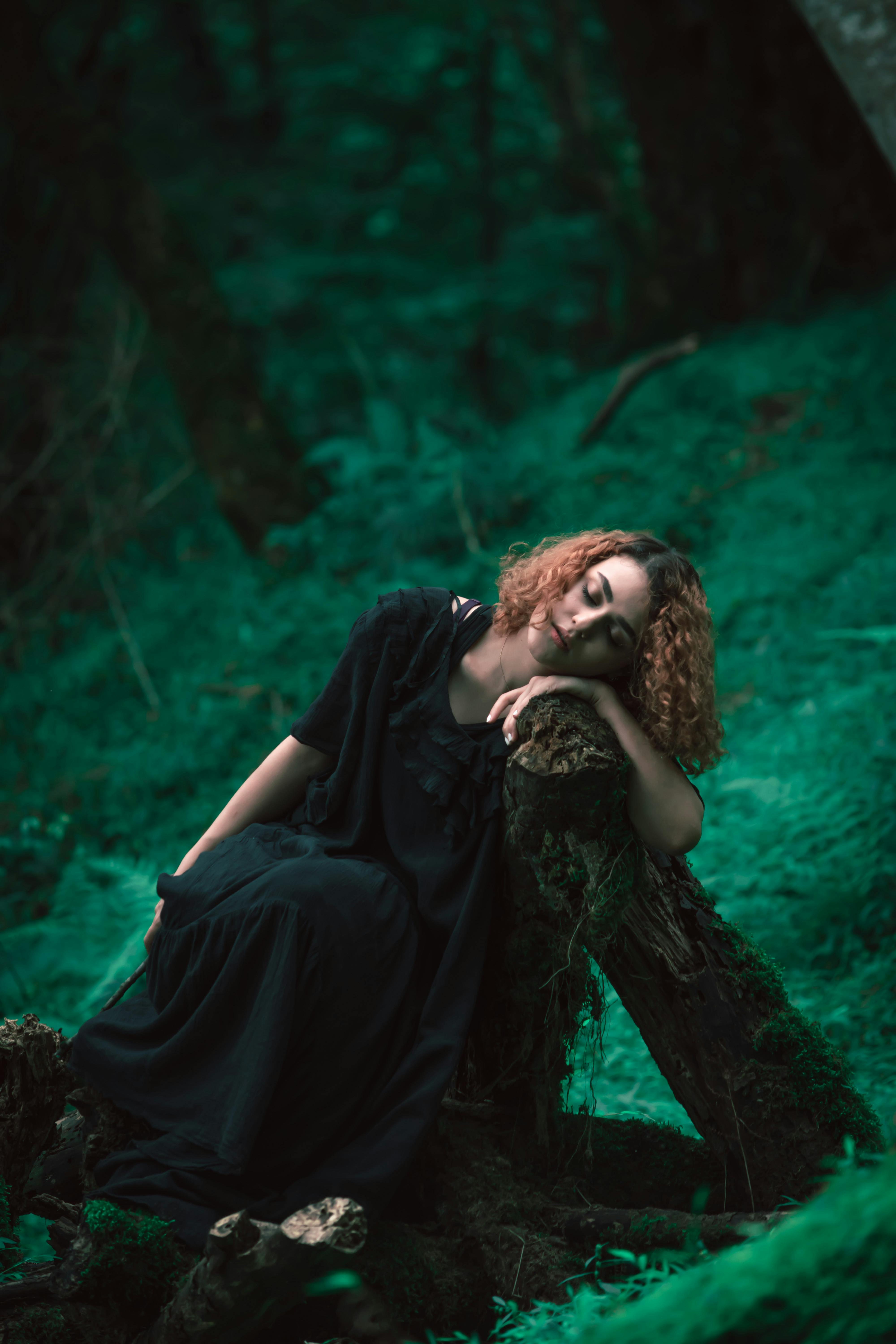 Sleeping Forest Photos, Download The BEST Free Sleeping Forest Stock ...