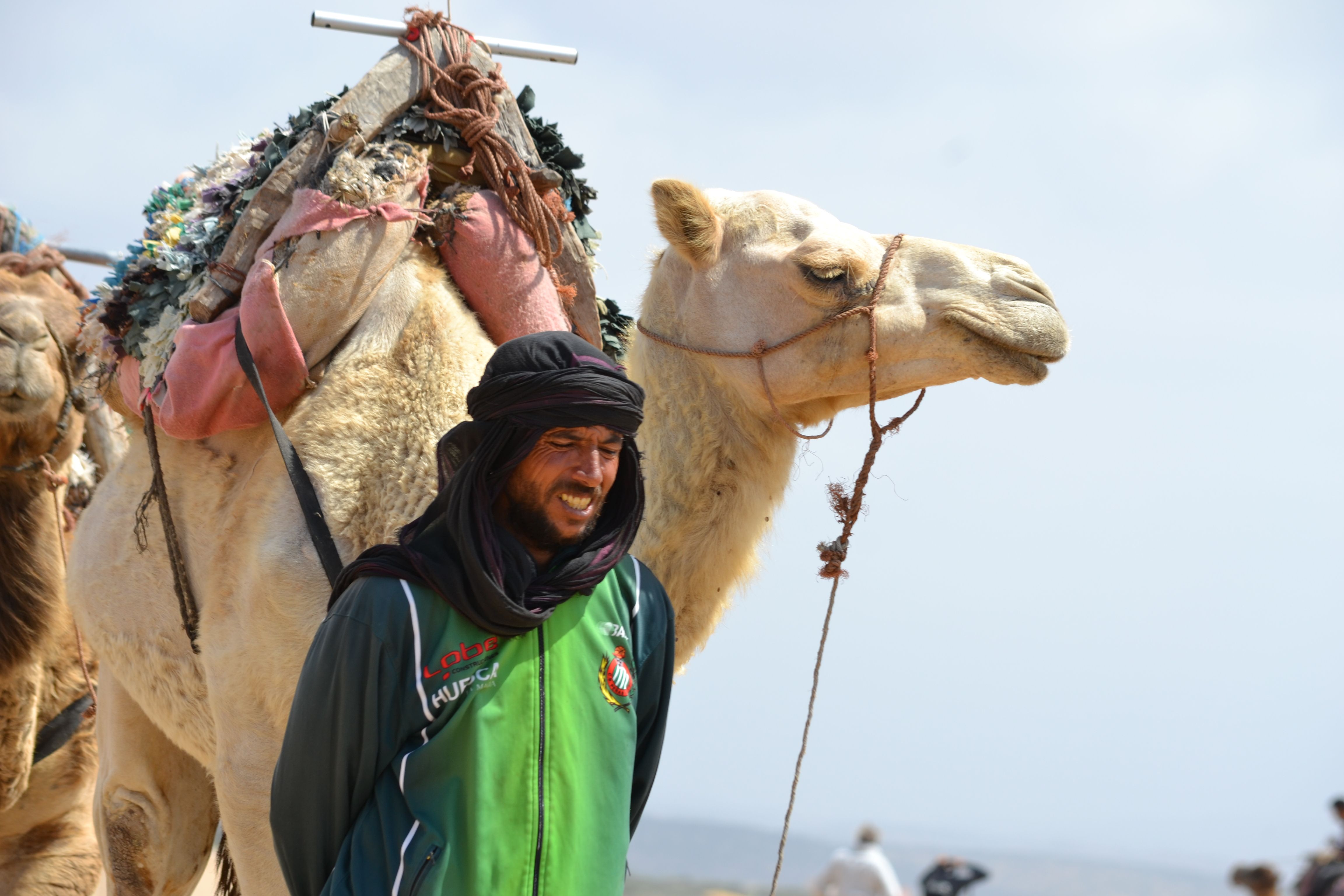Mounir BOUARFA - 사진