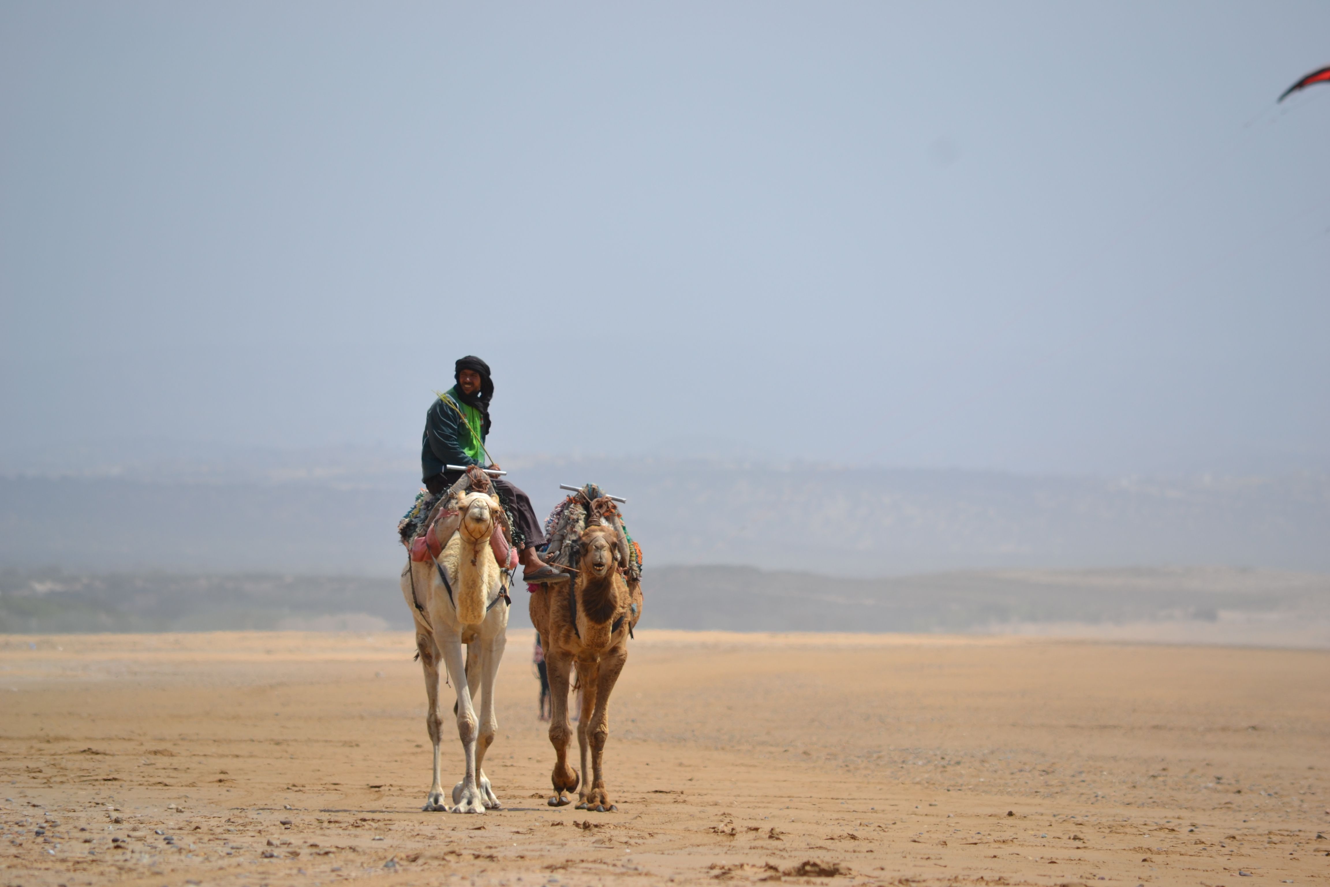 Mounir BOUARFA - 사진