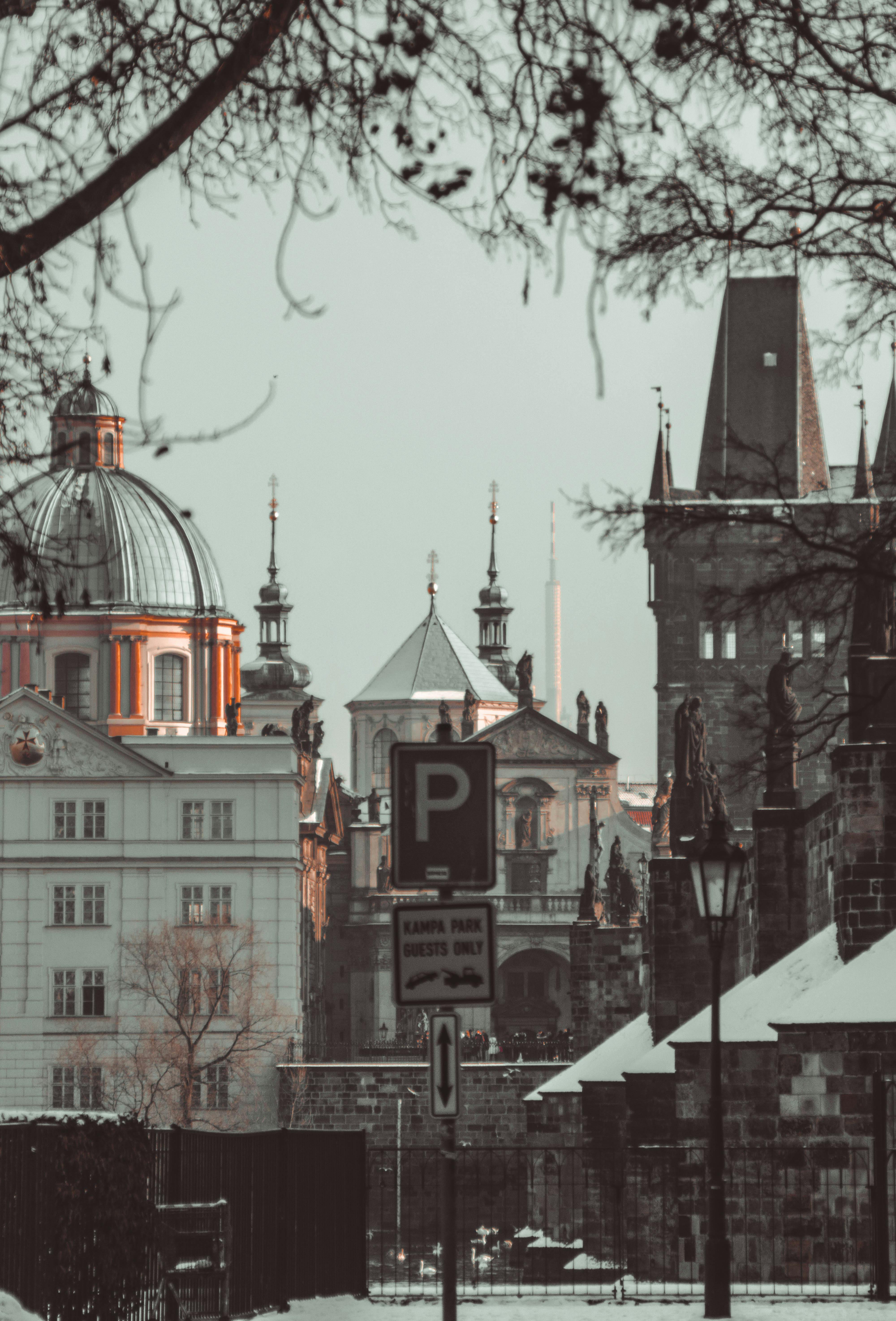 Illuminated Shell Logo Sign at Night · Free Stock Photo