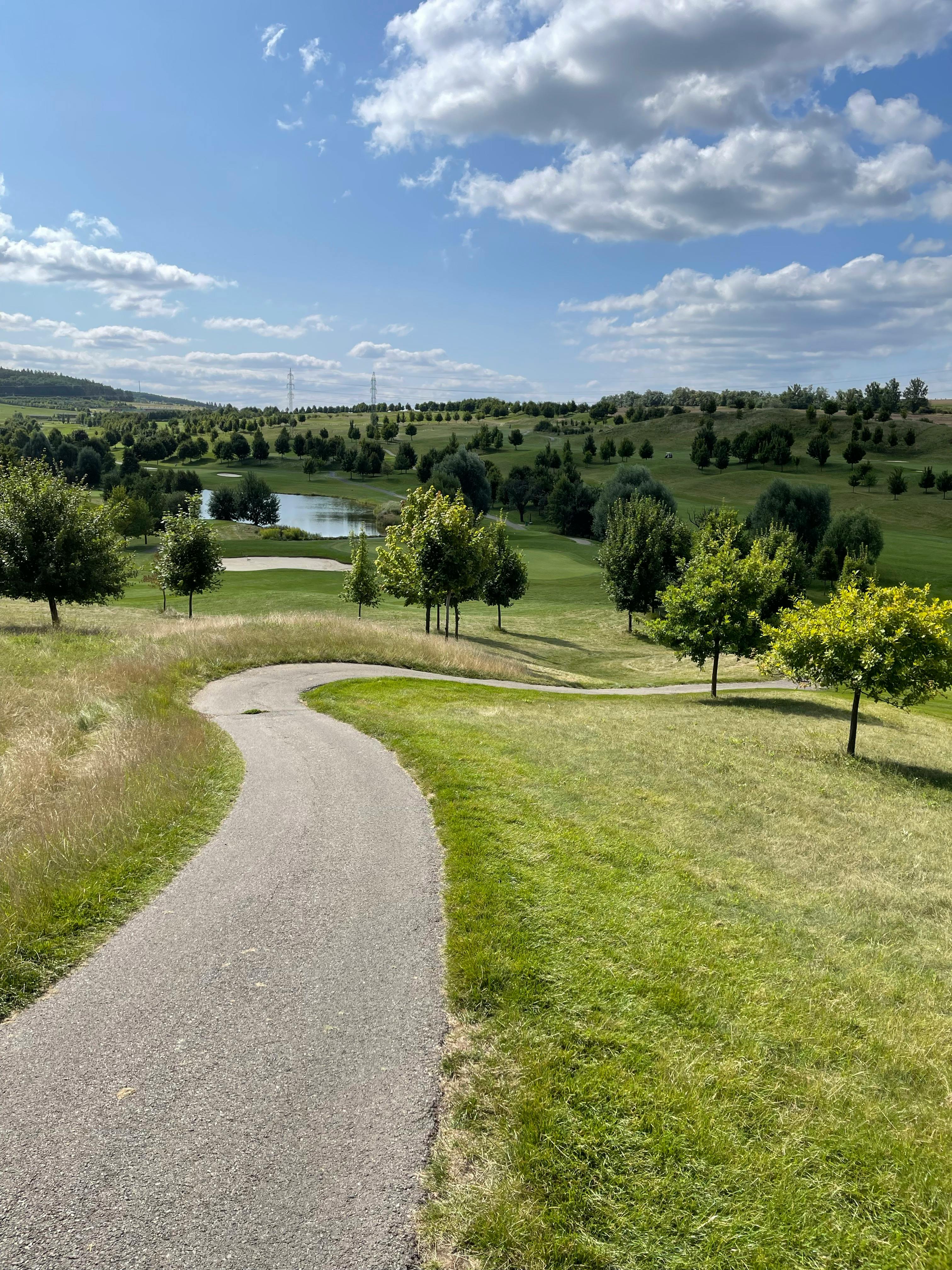 A Pathway Between Green Grass Field · Free Stock Photo