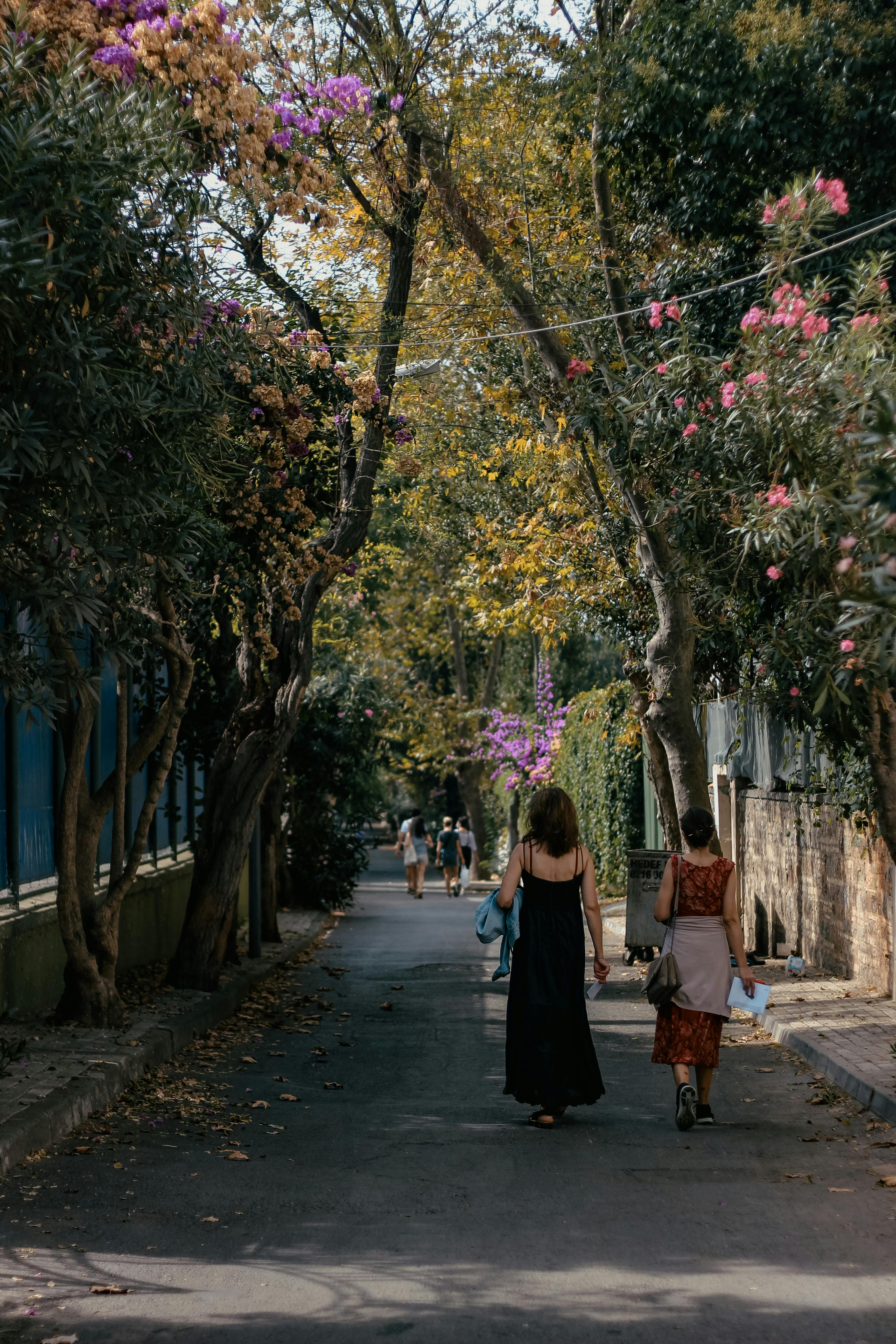 Women walking on a Pathway Street · Free Stock Photo