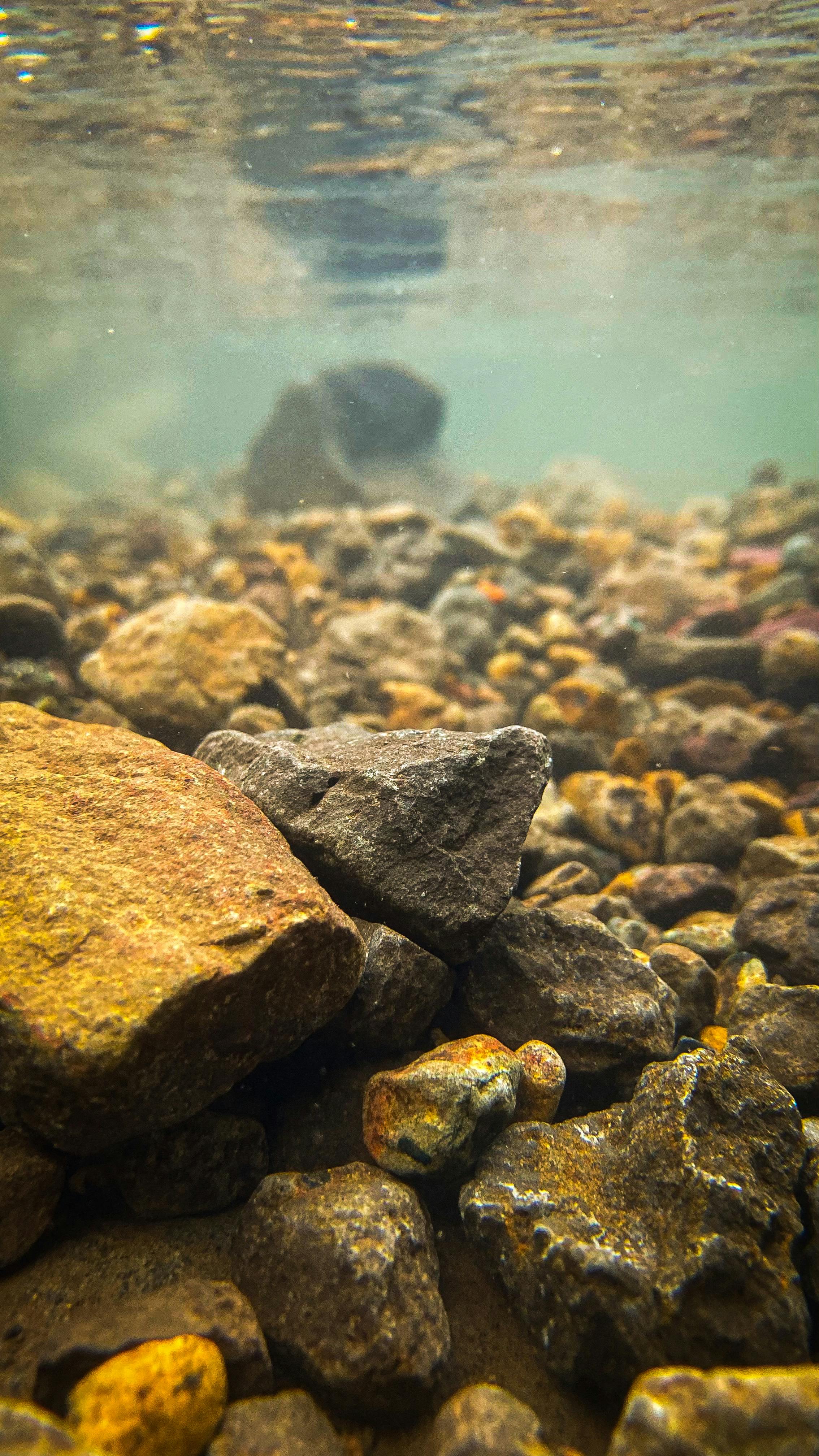 Close-Up Shot of Rocks Underwater · Free Stock Photo