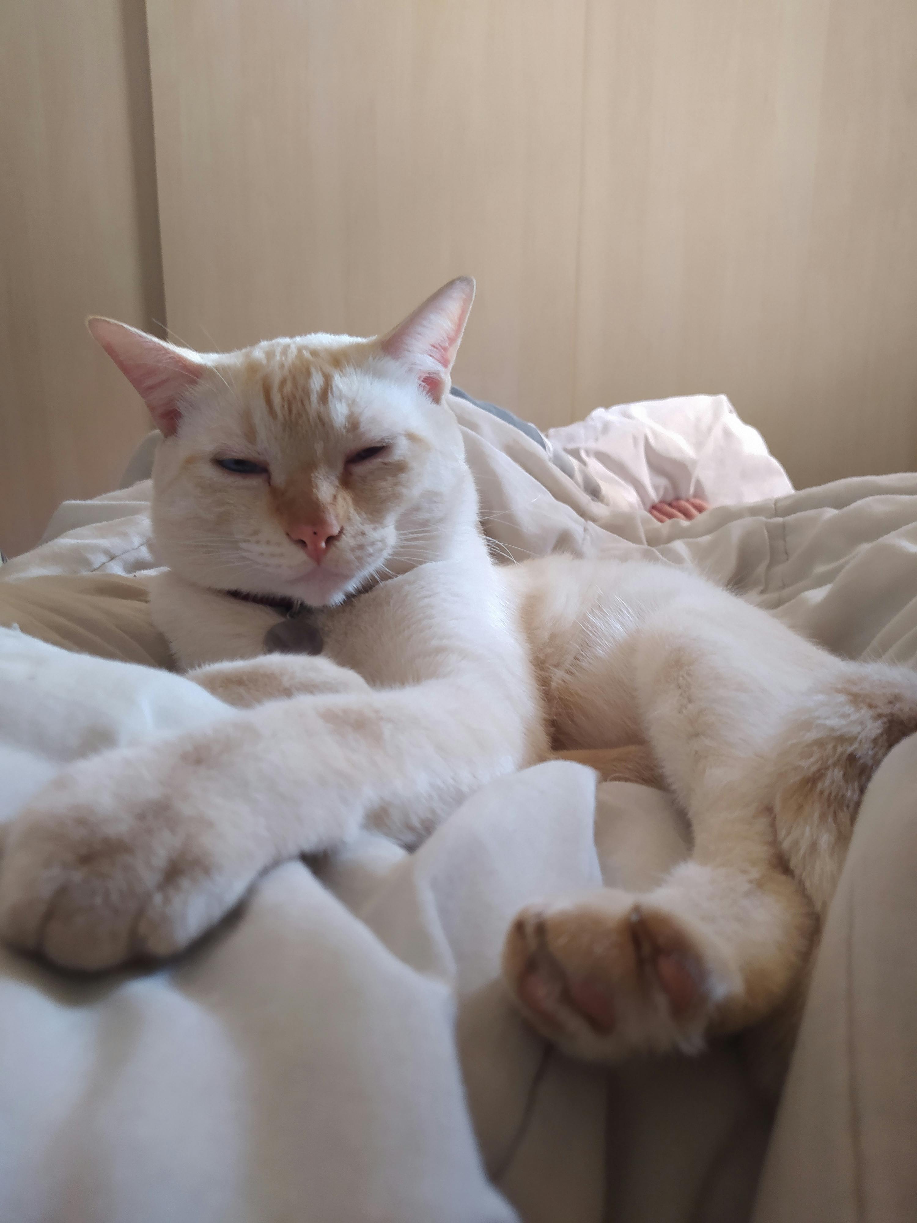 Fernanda Costa - Photographie