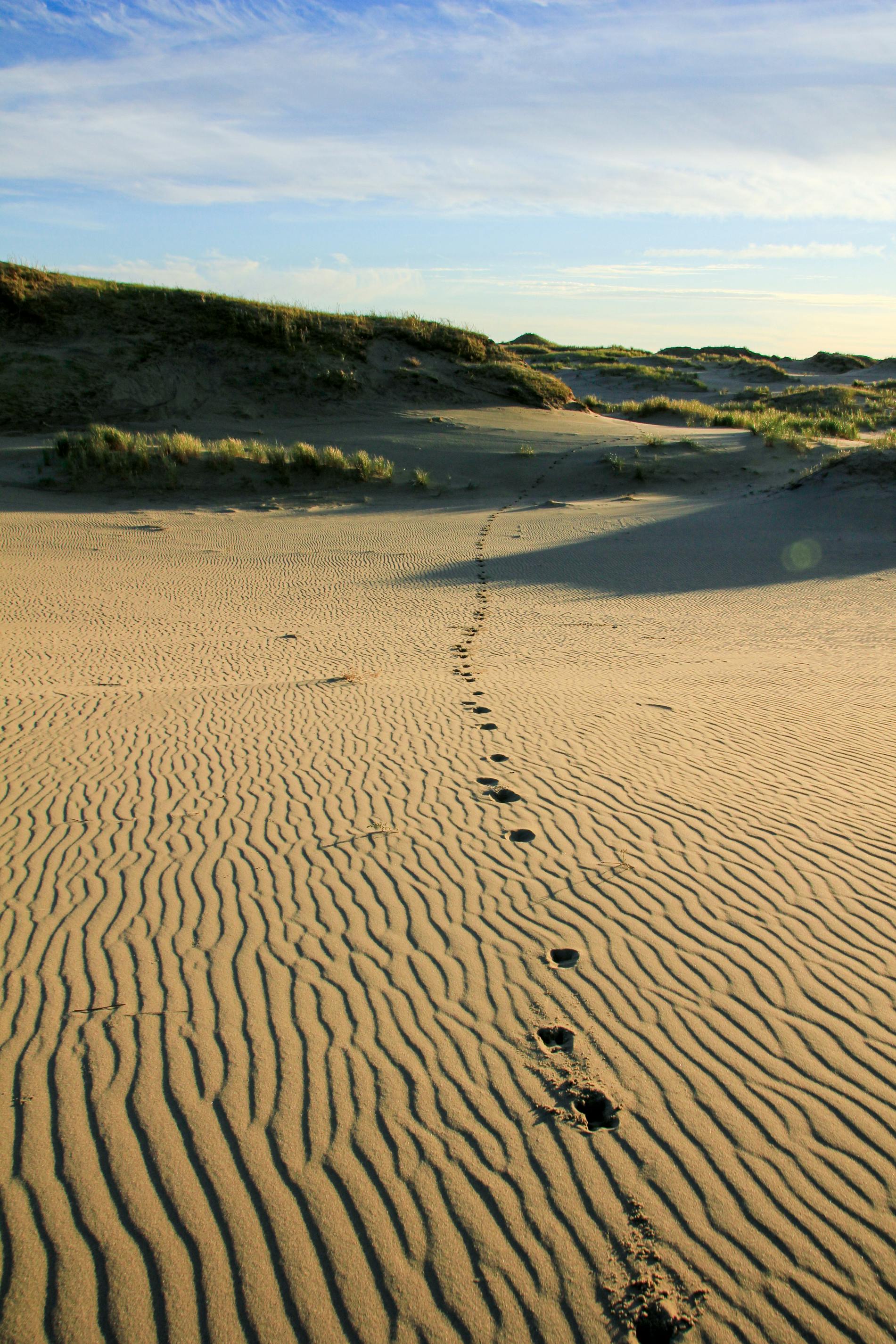Sand's Surface with Ripples and Foot Mark's · Free Stock Photo