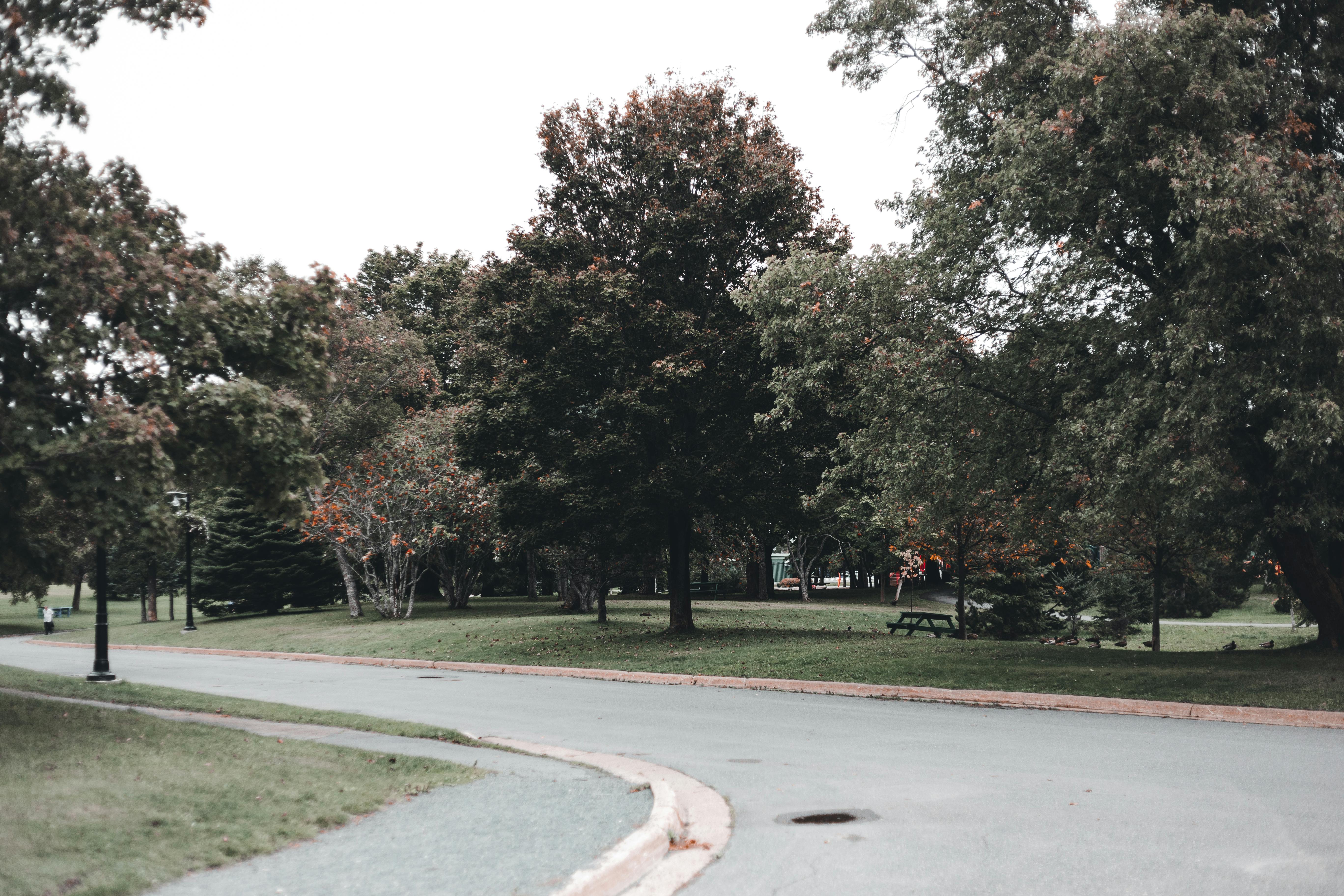 Photo of a Park · Free Stock Photo