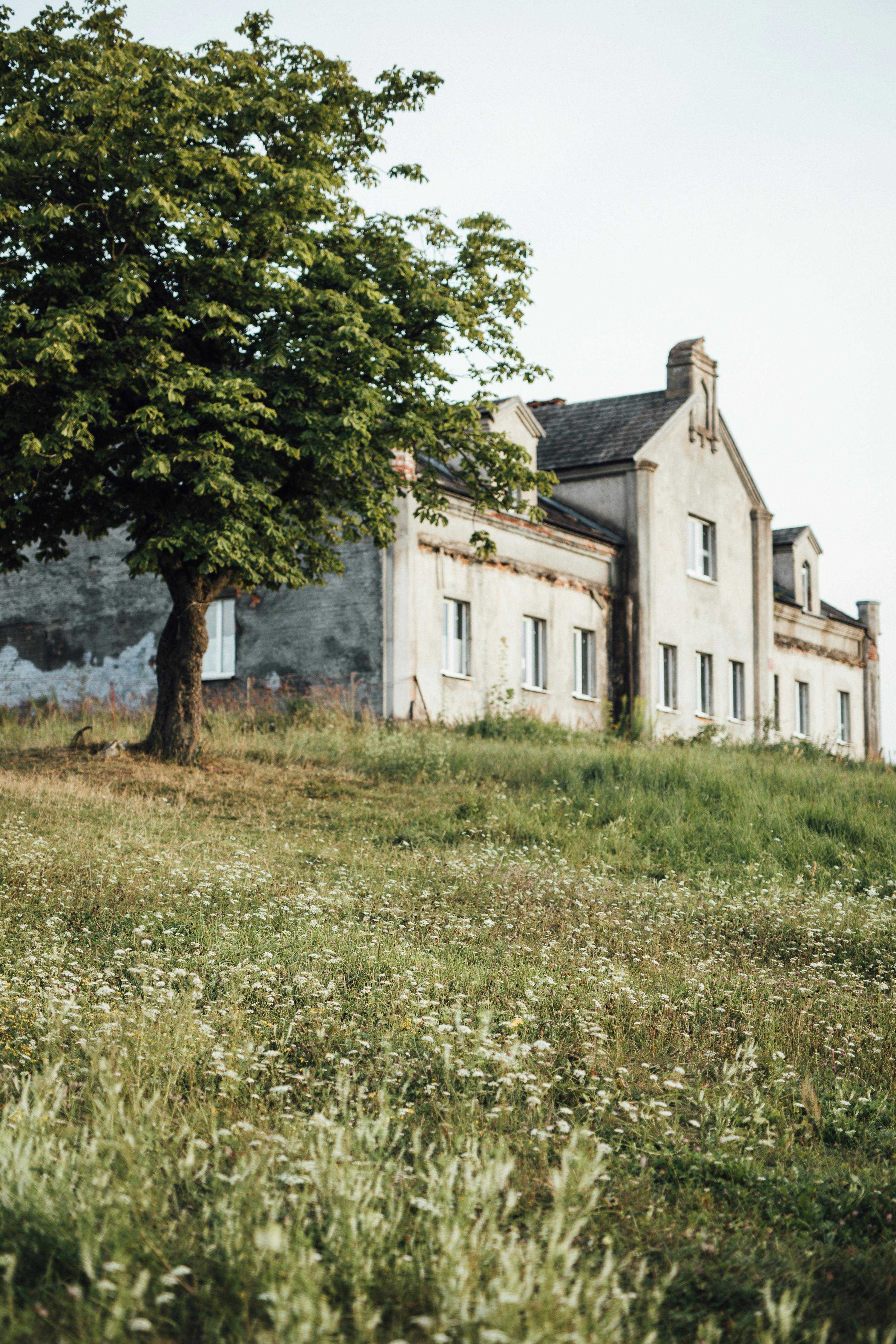 Concrete Building Near a Tree · Free Stock Photo